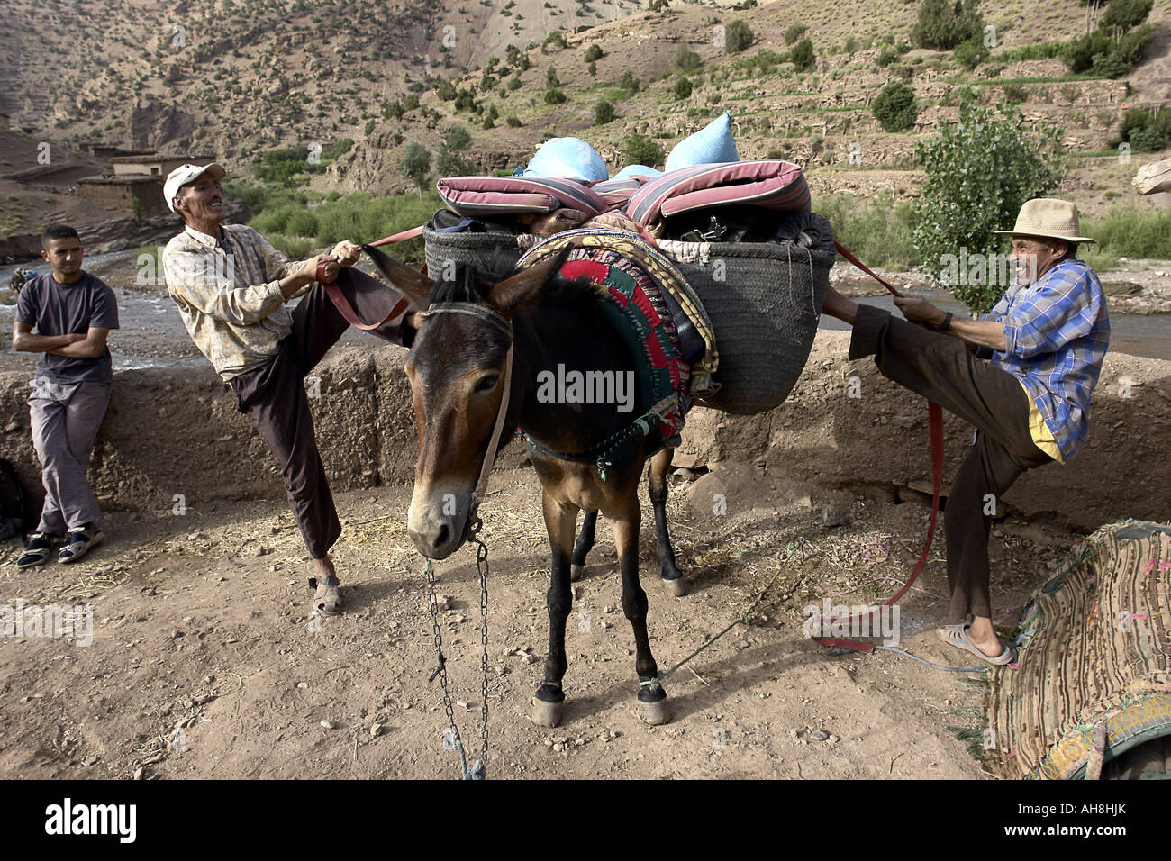 Loading the mules before the departure Mule trekking in the High Atlas ...