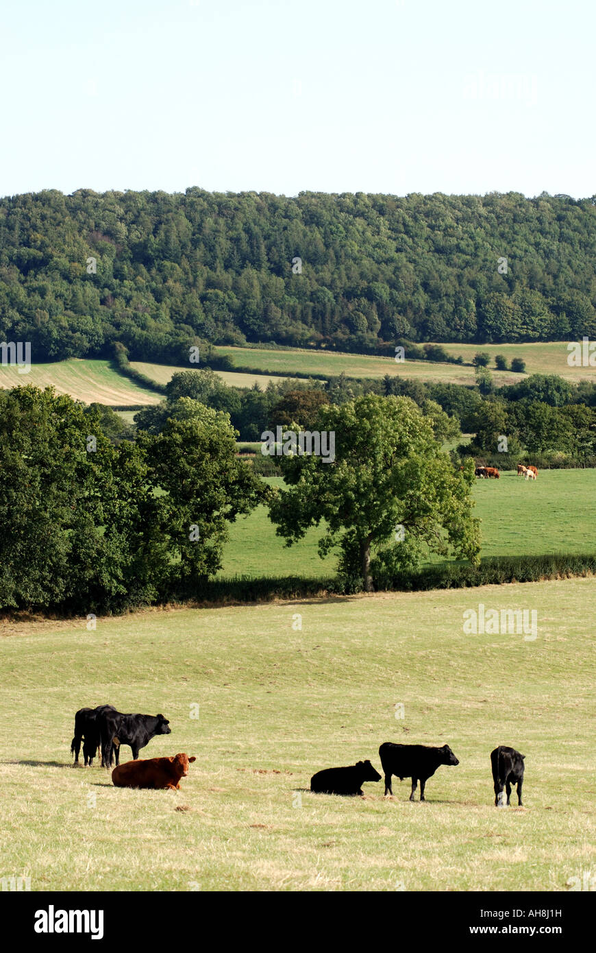 View of Wenlock Edge, Shropshire, England, UK Stock Photo - Alamy