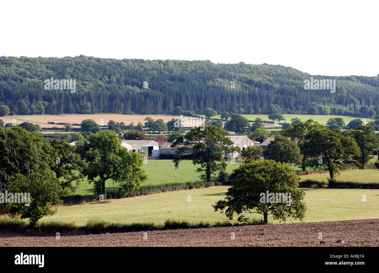View of Wenlock Edge, Shropshire, England, UK Stock Photo - Alamy