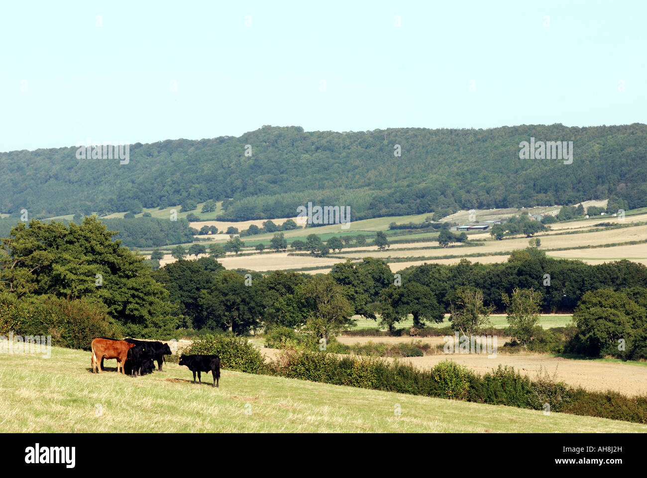 View across Apedale to Wenlock Edge, Shropshire, England, UK Stock ...