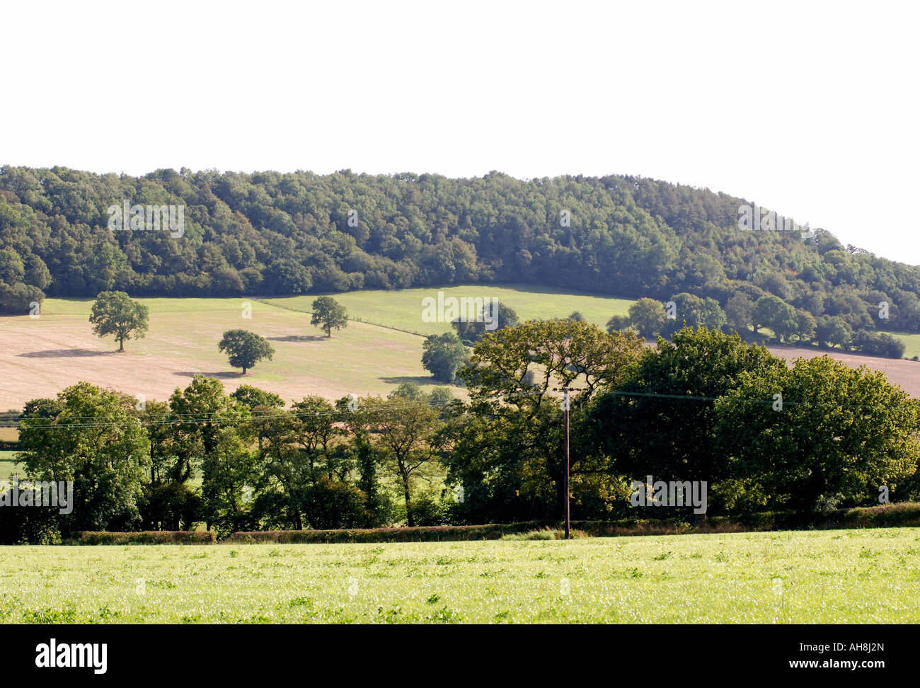 Much wenlock view hi-res stock photography and images - Alamy