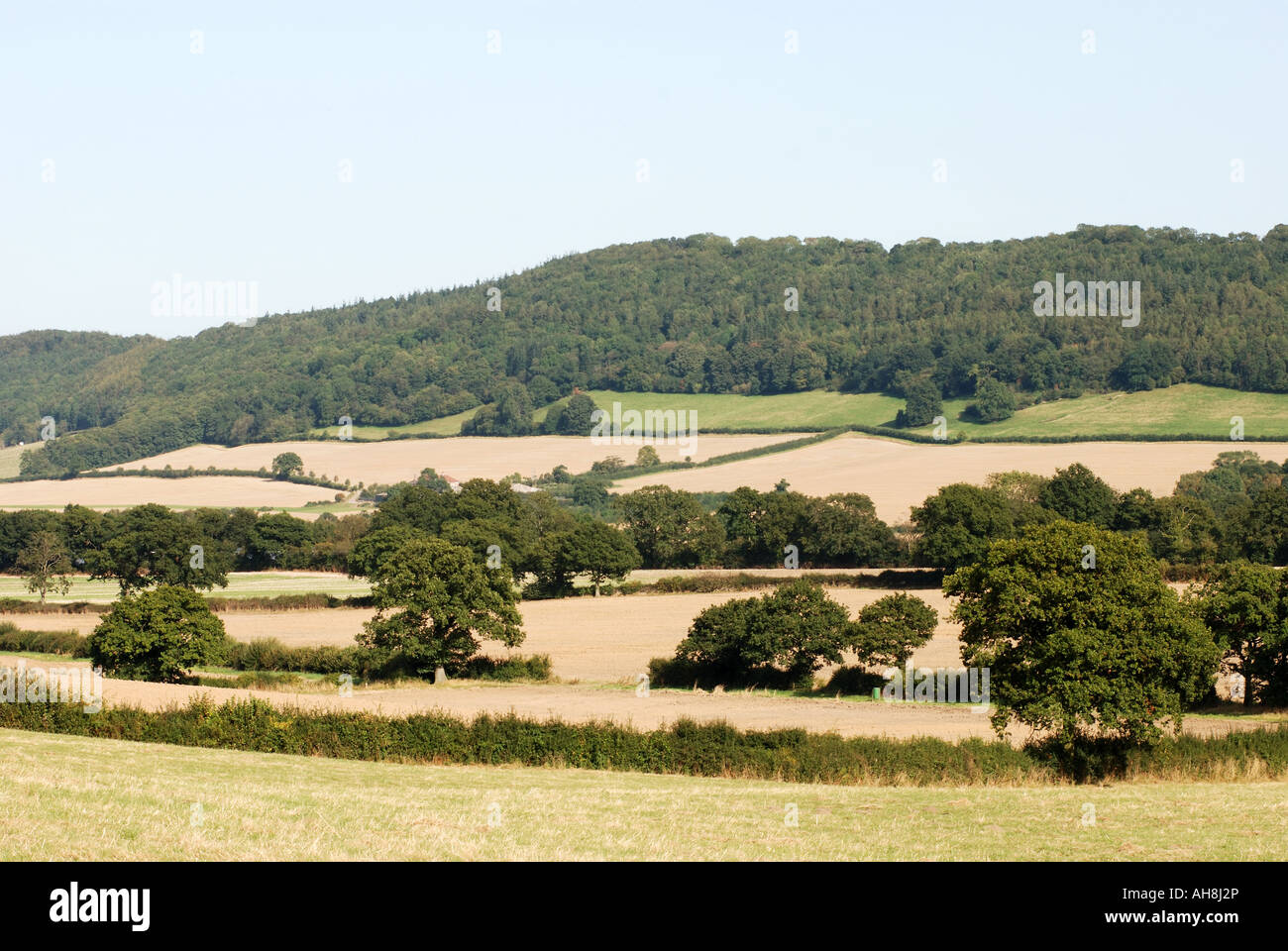 View of Wenlock Edge, Shropshire, England, UK Stock Photo - Alamy