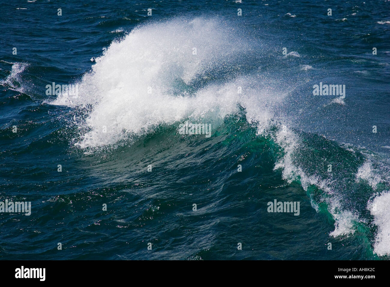 Roaring ocean wave curling under the powerful force of nature Stock ...
