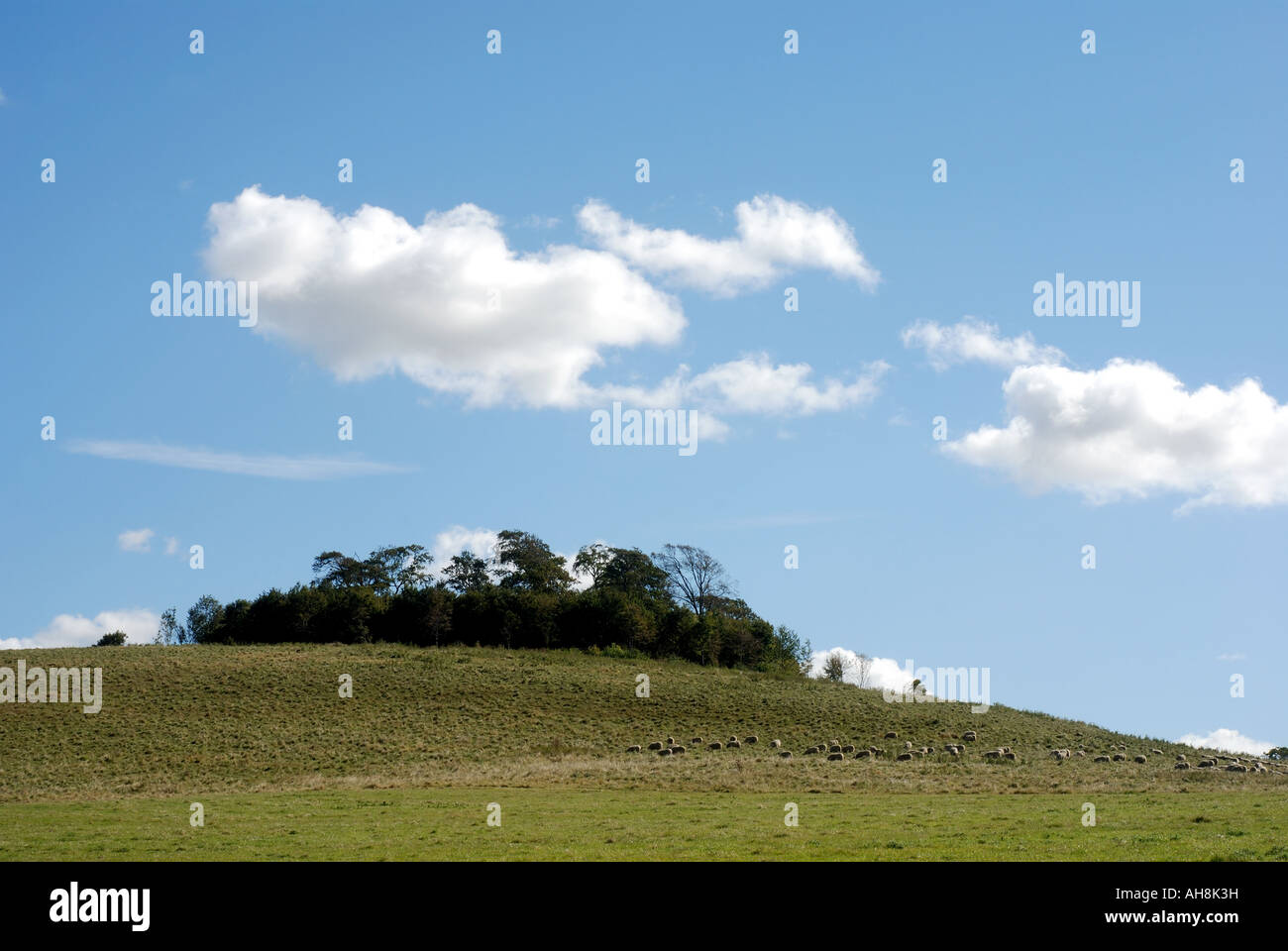 Round Hill, Wittenham Clumps, Oxfordshire, England, UK Stock Photo - Alamy