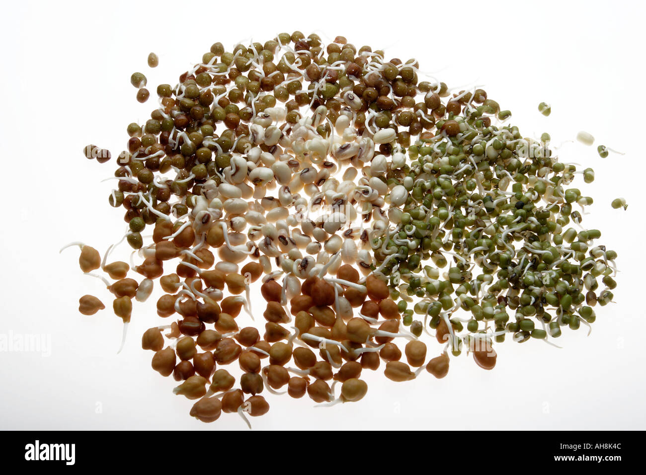 AAD71472 Food Sprouted Mix peas beans on white background Stock Photo ...