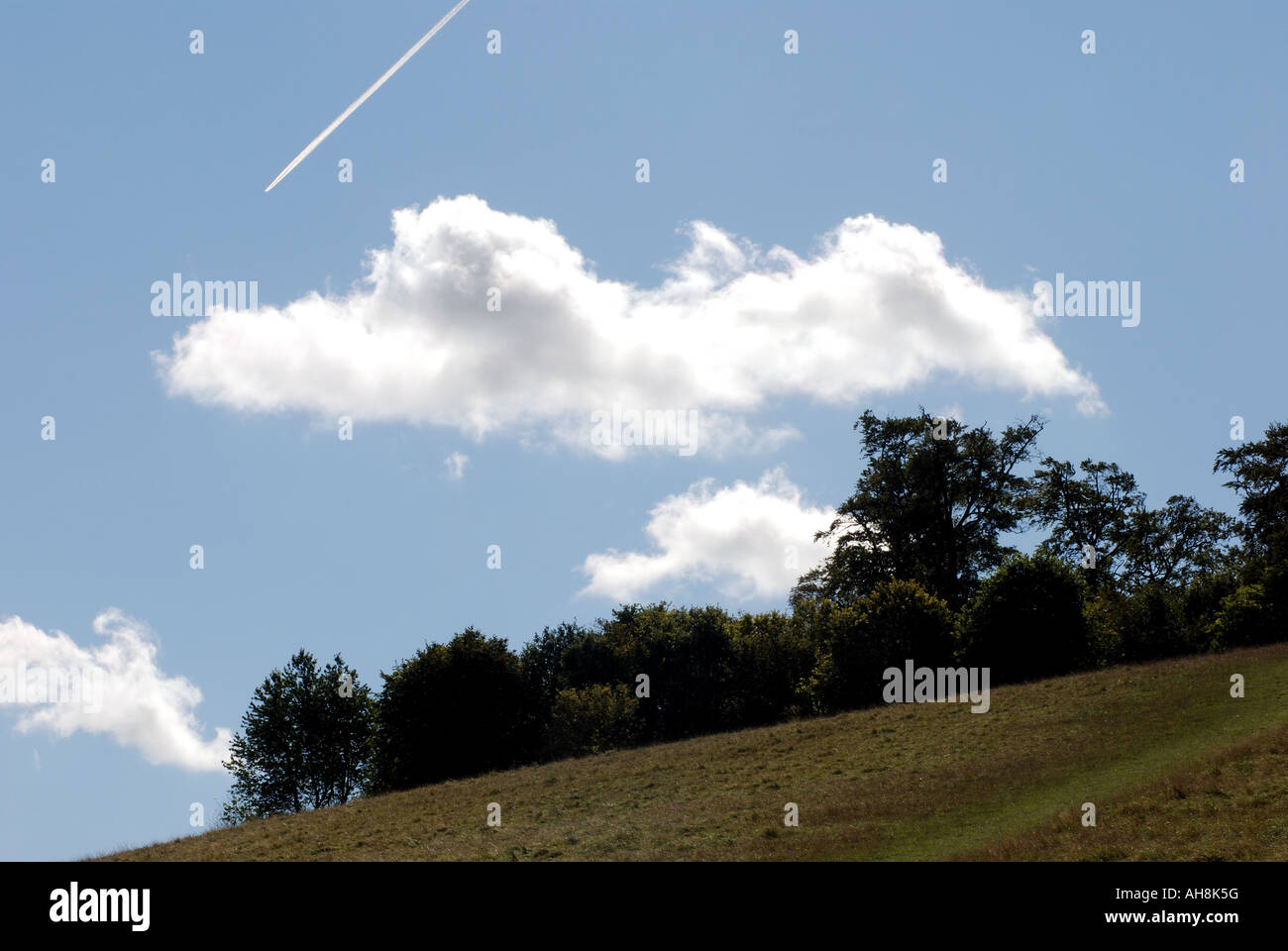 Wittenham clumps hi-res stock photography and images - Alamy