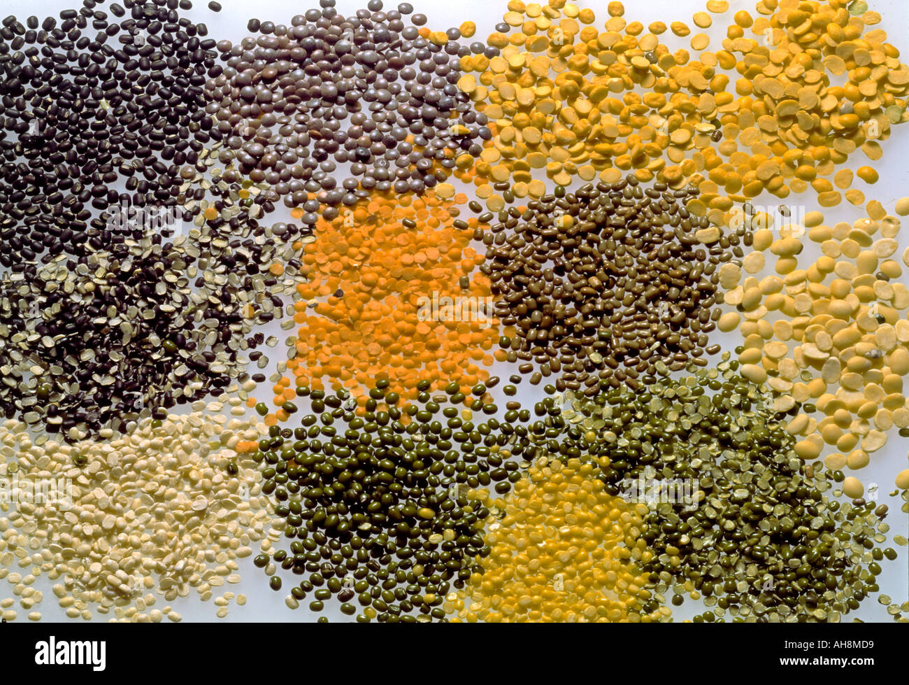 Seedling lentils hi-res stock photography and images - Alamy