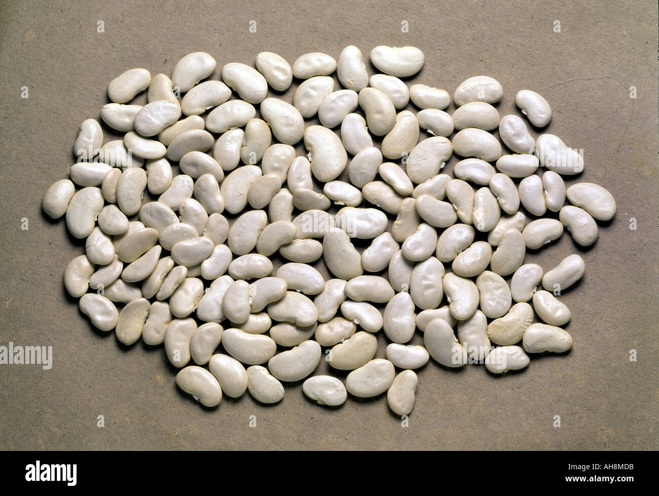 Limabean hi-res stock photography and images - Alamy