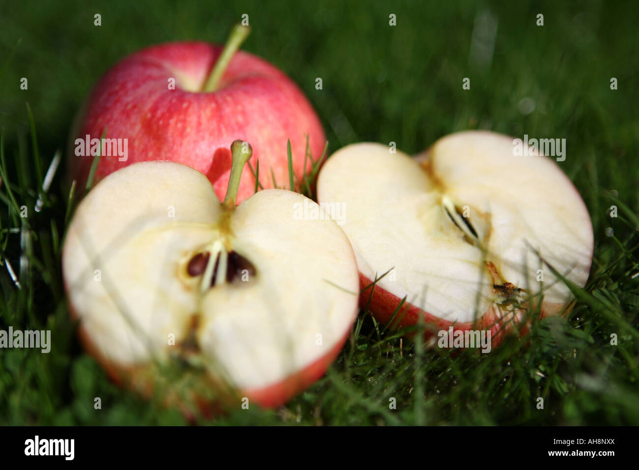 Apple in halves hi-res stock photography and images - Alamy