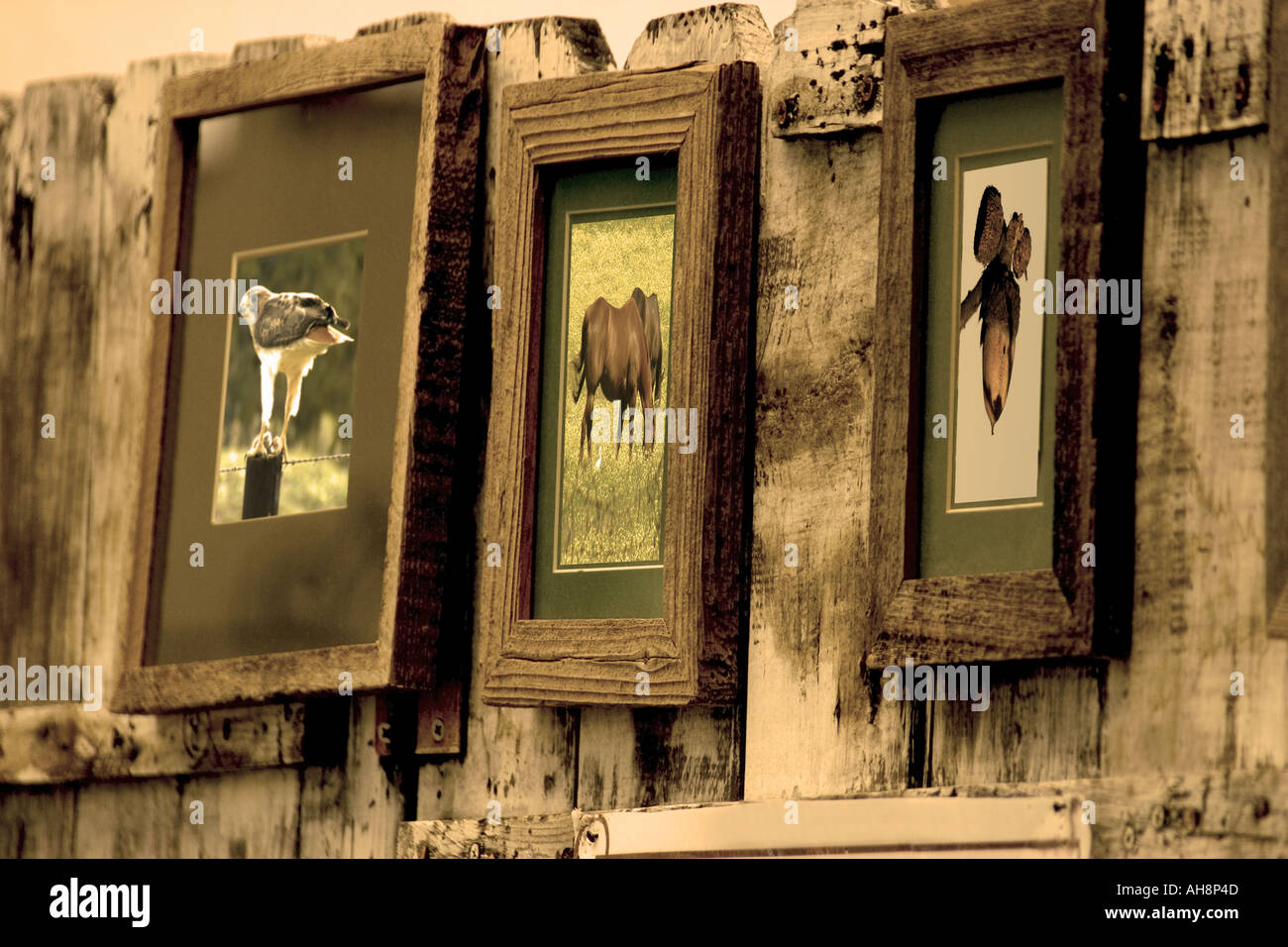 Rustic country pictures hi-res stock photography and images - Alamy