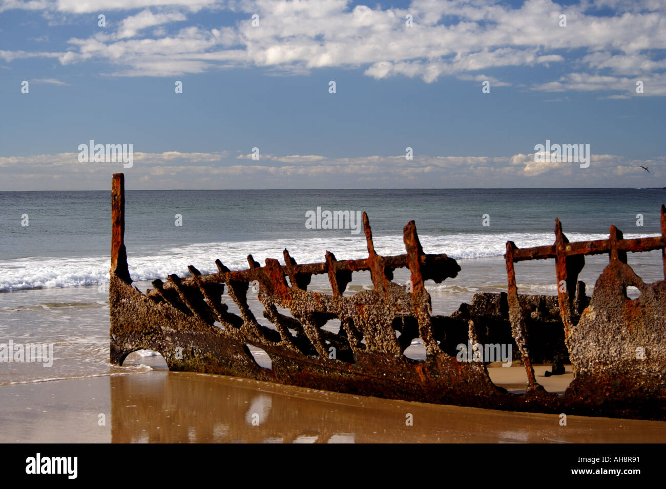 EARLY MORNING SHOT OF WRECK OF THE SS DICKY CALOUNDRA QUEENSLAND ...