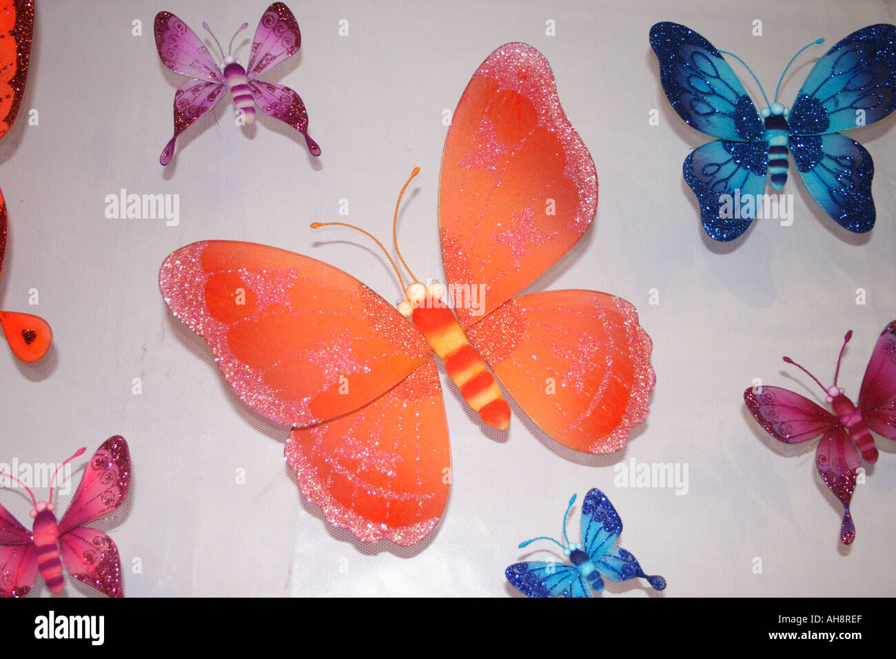 Bold blue butterflies hi-res stock photography and images - Alamy