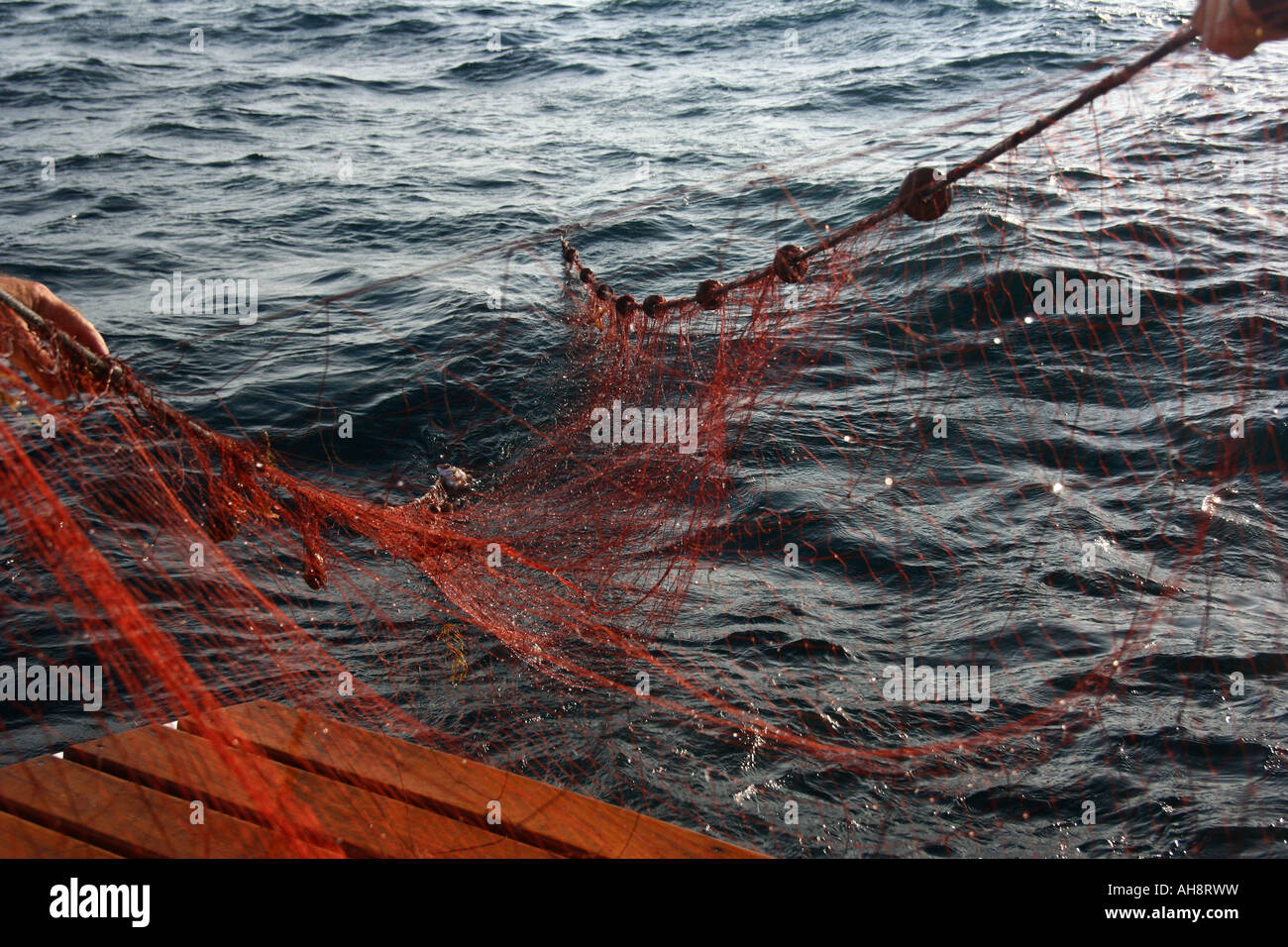 Fishing net in the sea Stock Photo - Alamy