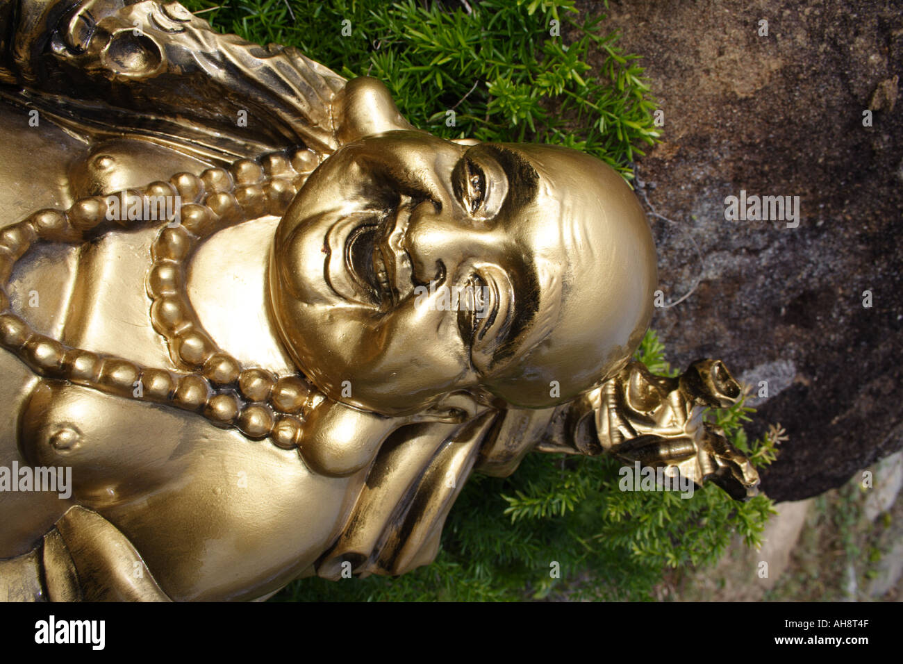 LARGE GOLD BUDDHA LAYING IN A BUSH BAPD2518 Stock Photo - Alamy