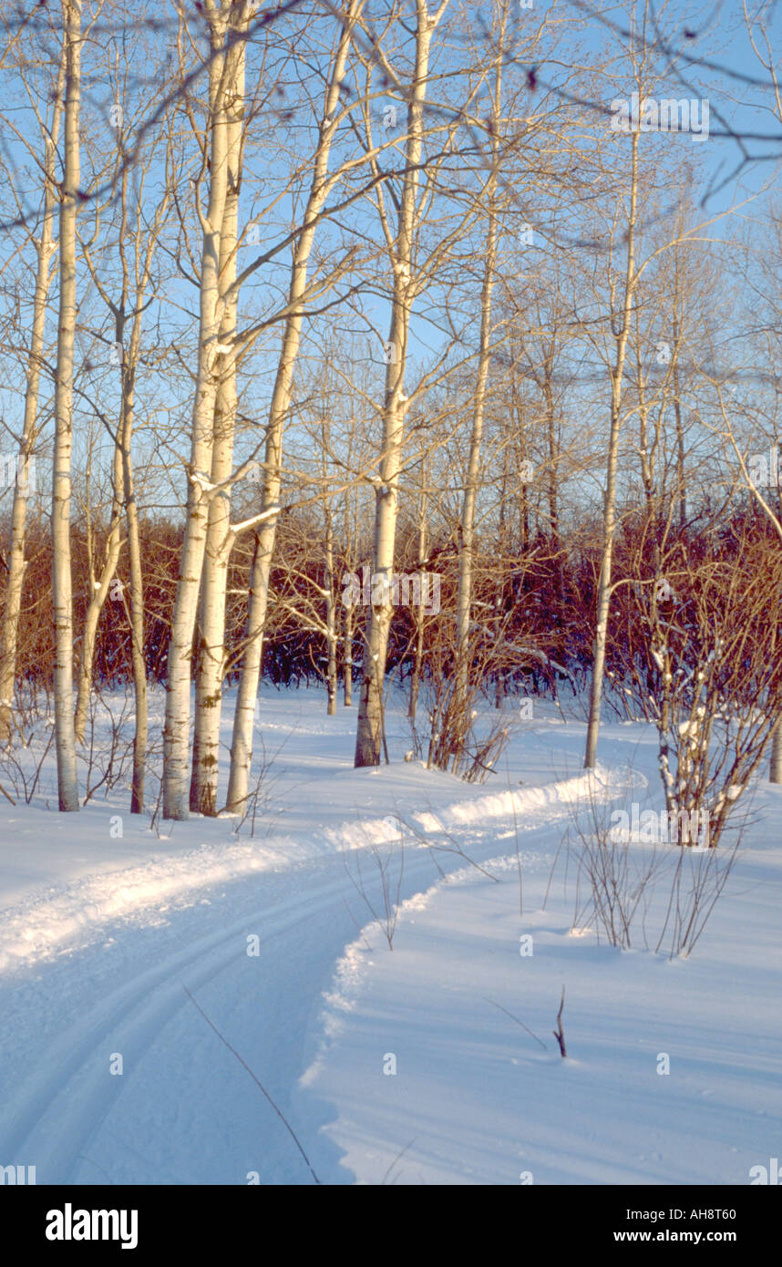 Ironwood michigan hi-res stock photography and images - Alamy