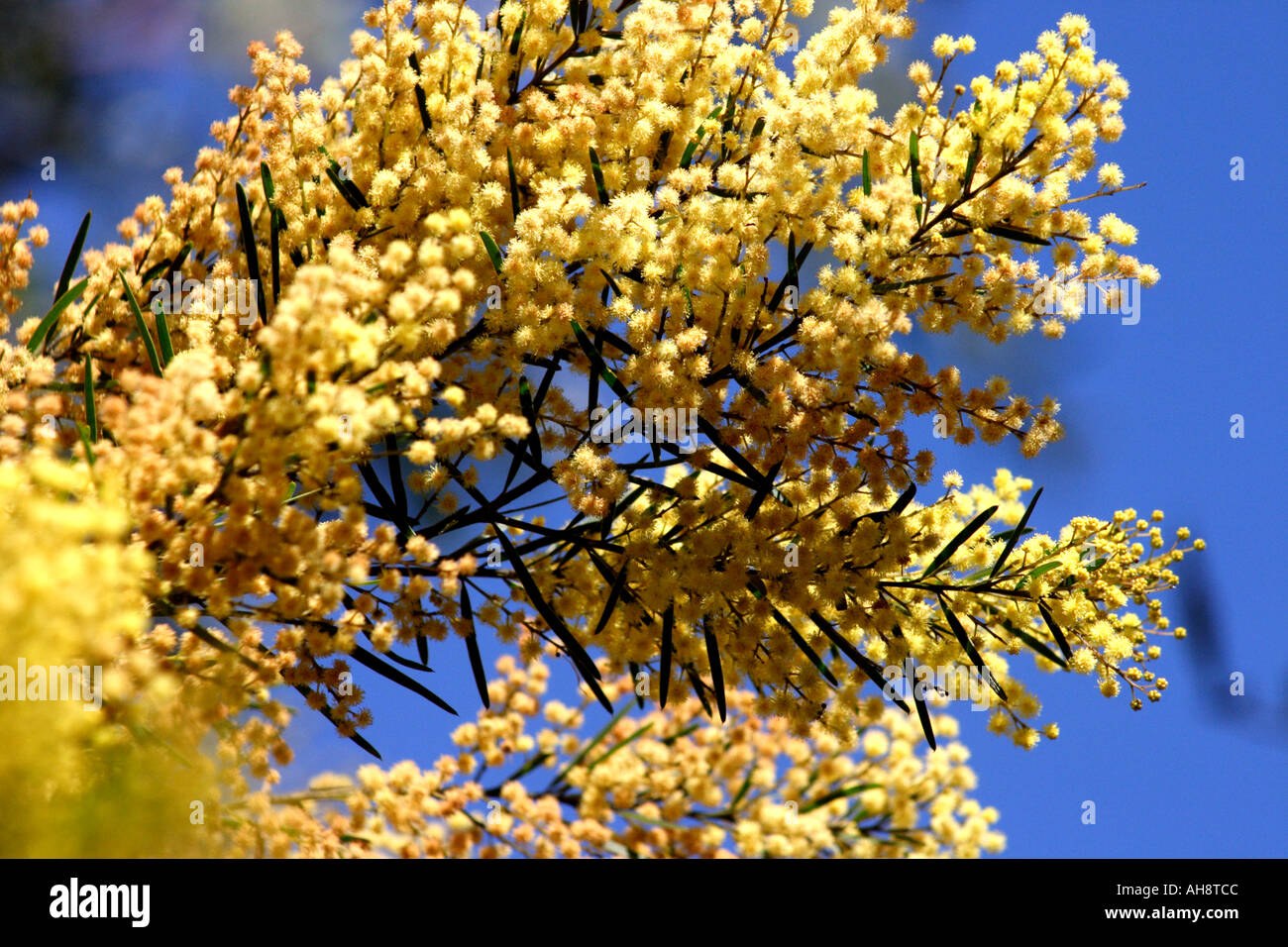 At 2700 hi-res stock photography and images - Alamy