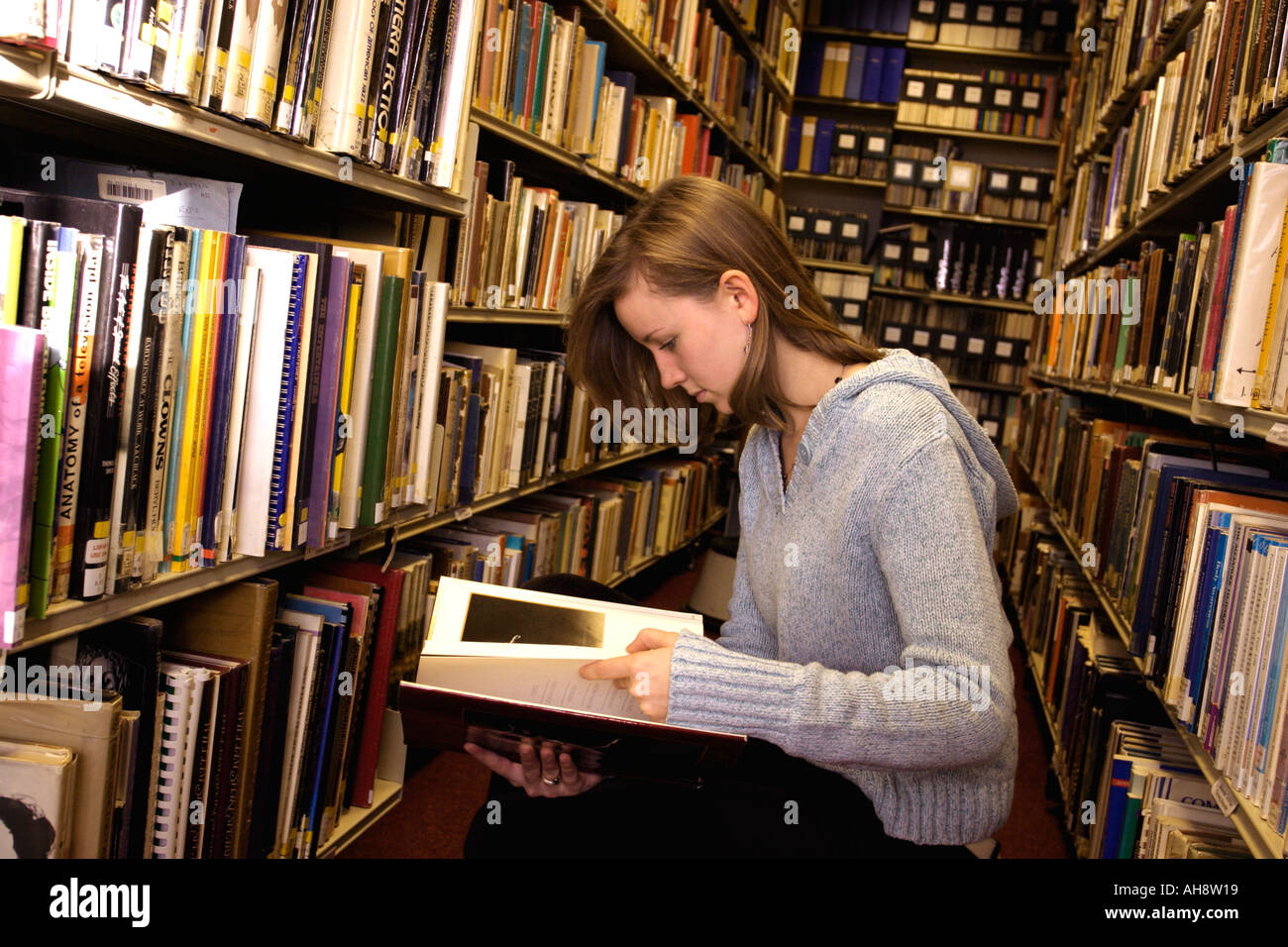 English Librarian High Resolution Stock Photography and Images - Alamy