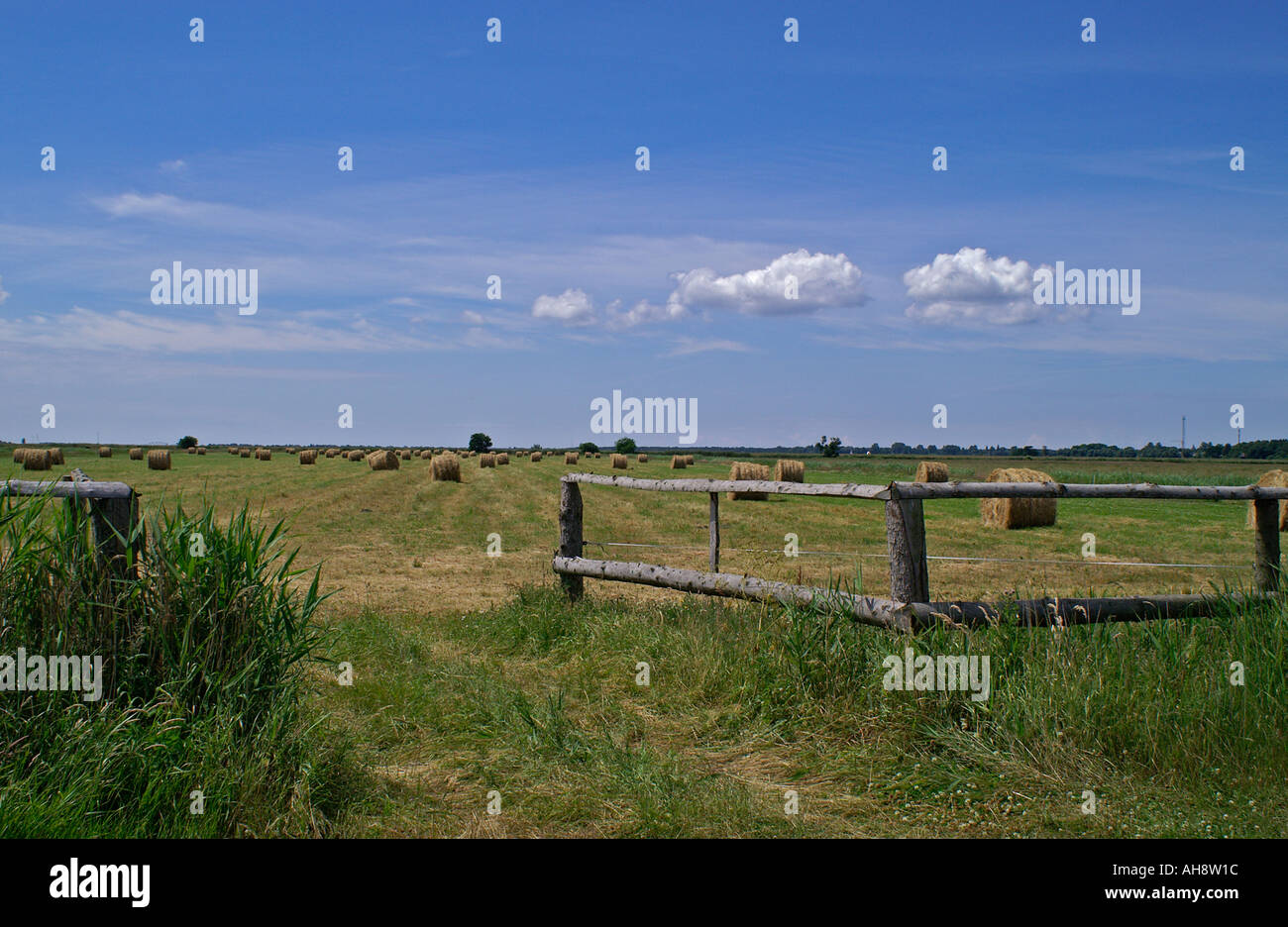 harvest fields landscape Stock Photo - Alamy