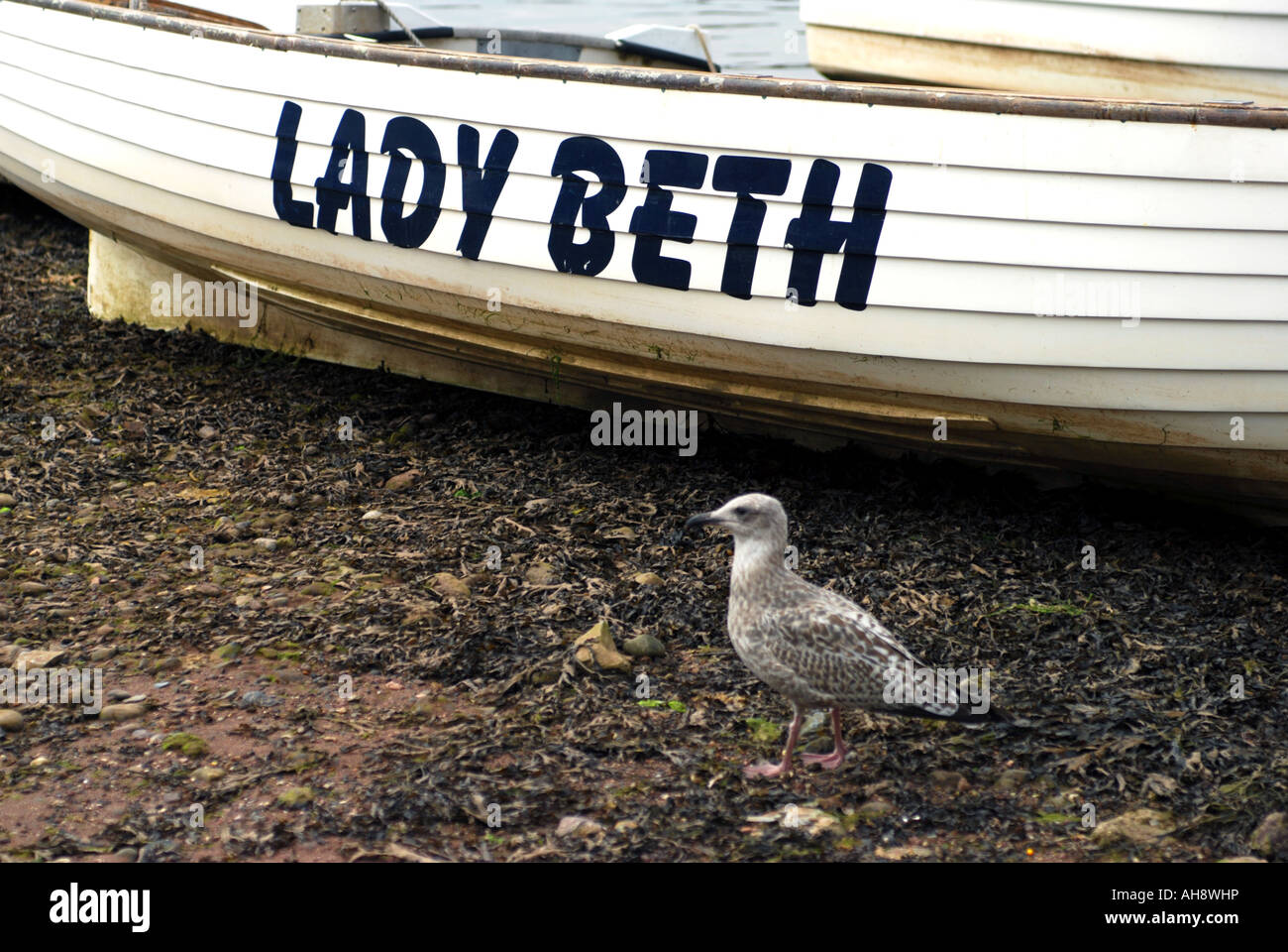 Row boat ashore hi-res stock photography and images - Alamy