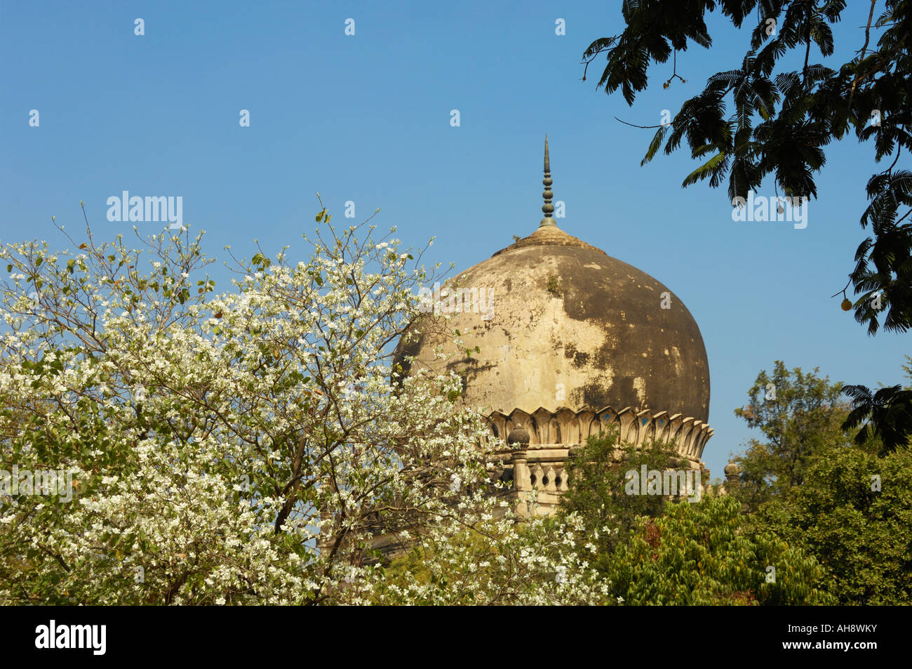 Dome of Muhammad Qutb Shah tomb Hyderabad Andhra Pradesh India Stock ...