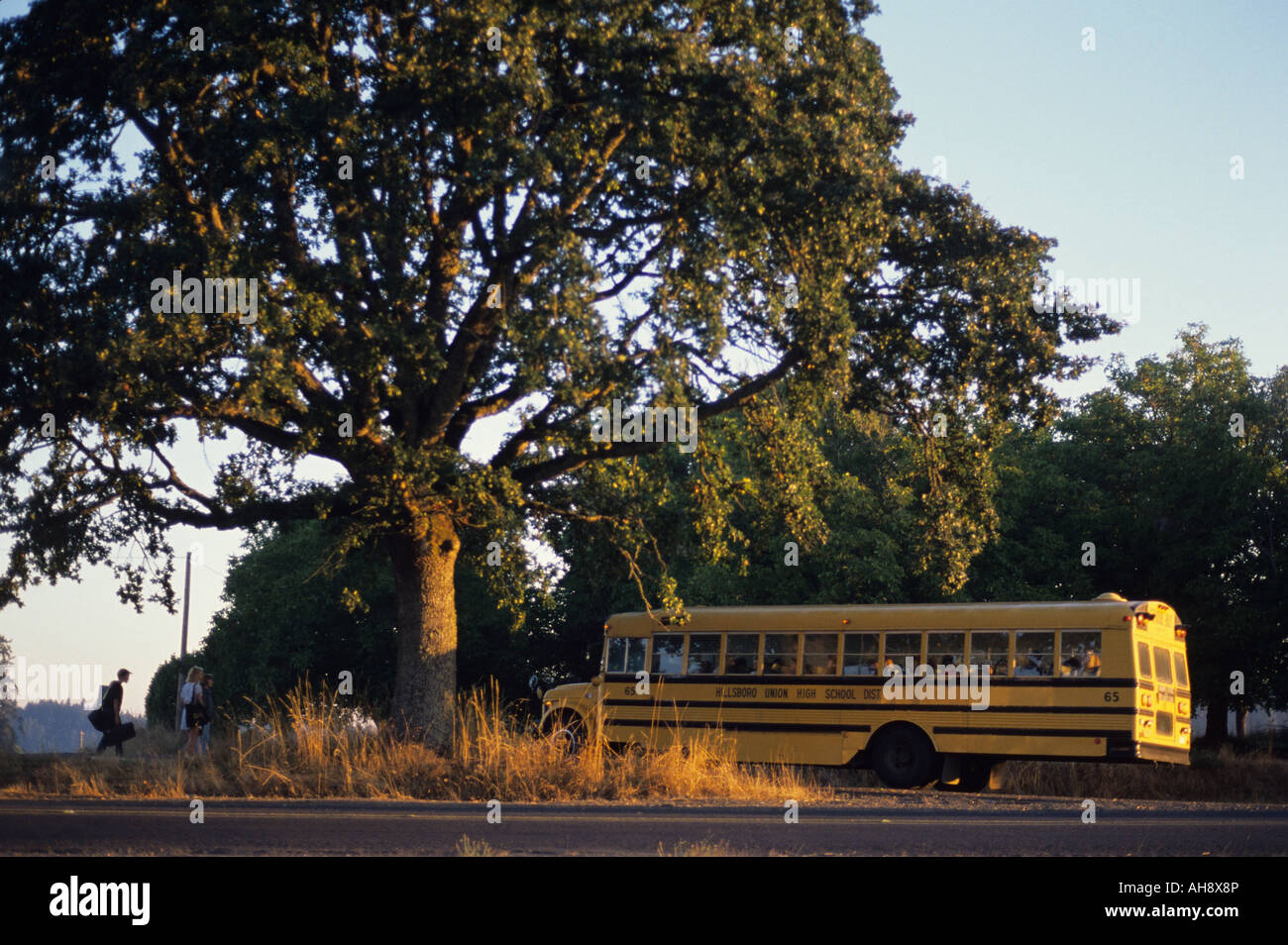 School bus picking up students early morning rural Washington County ...
