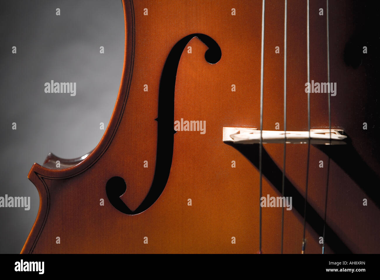 Instrumento musical barroco hi-res stock photography and images - Alamy