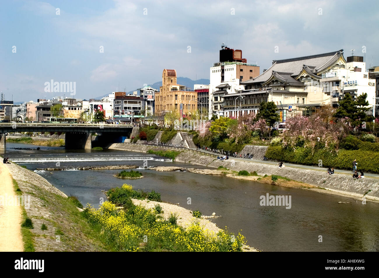 Kamo Kamo High Resolution Stock Photography and Images - Alamy