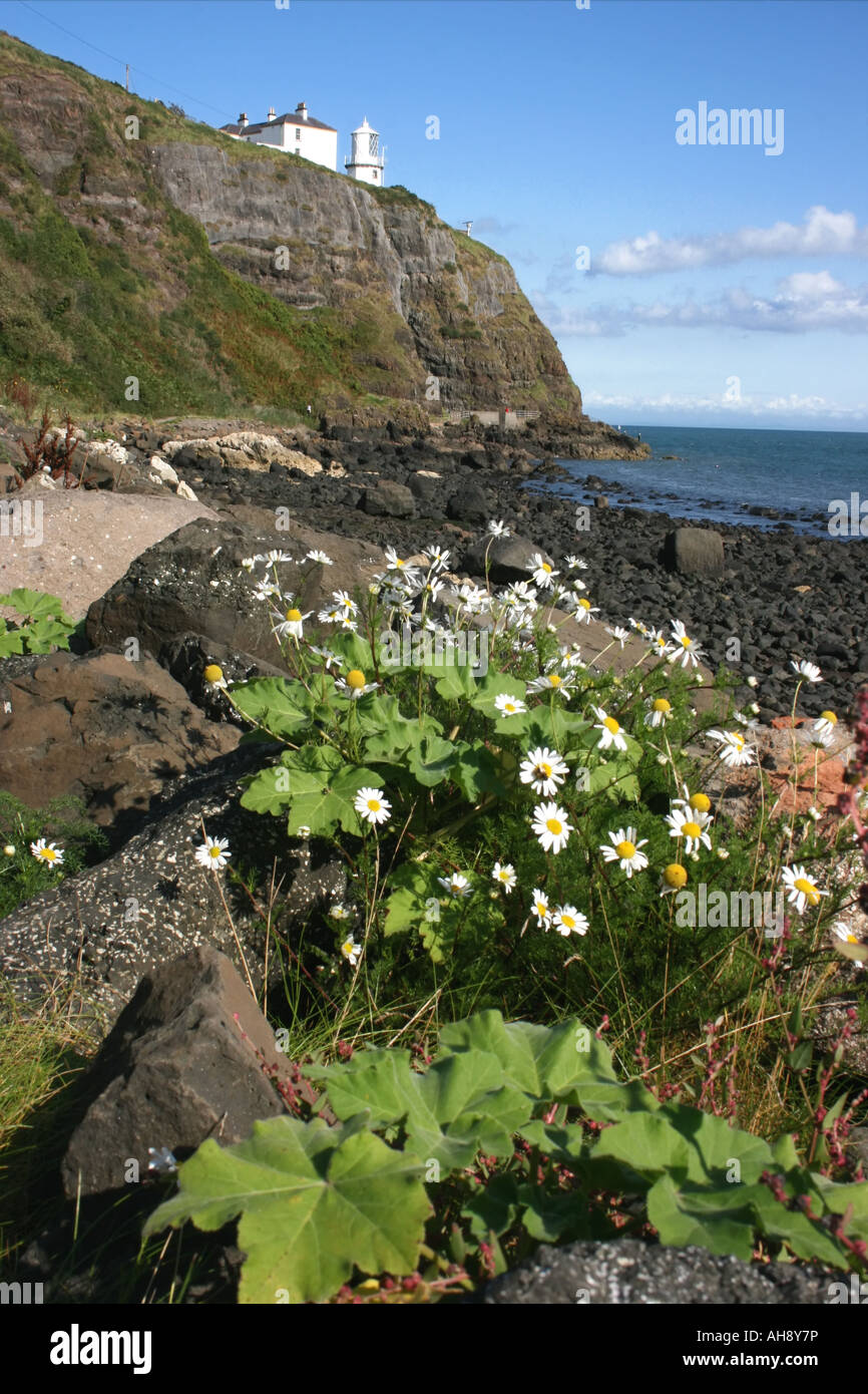 Blackhead lighthouse on clifftop, near town of Whitehead, County Antrim ...