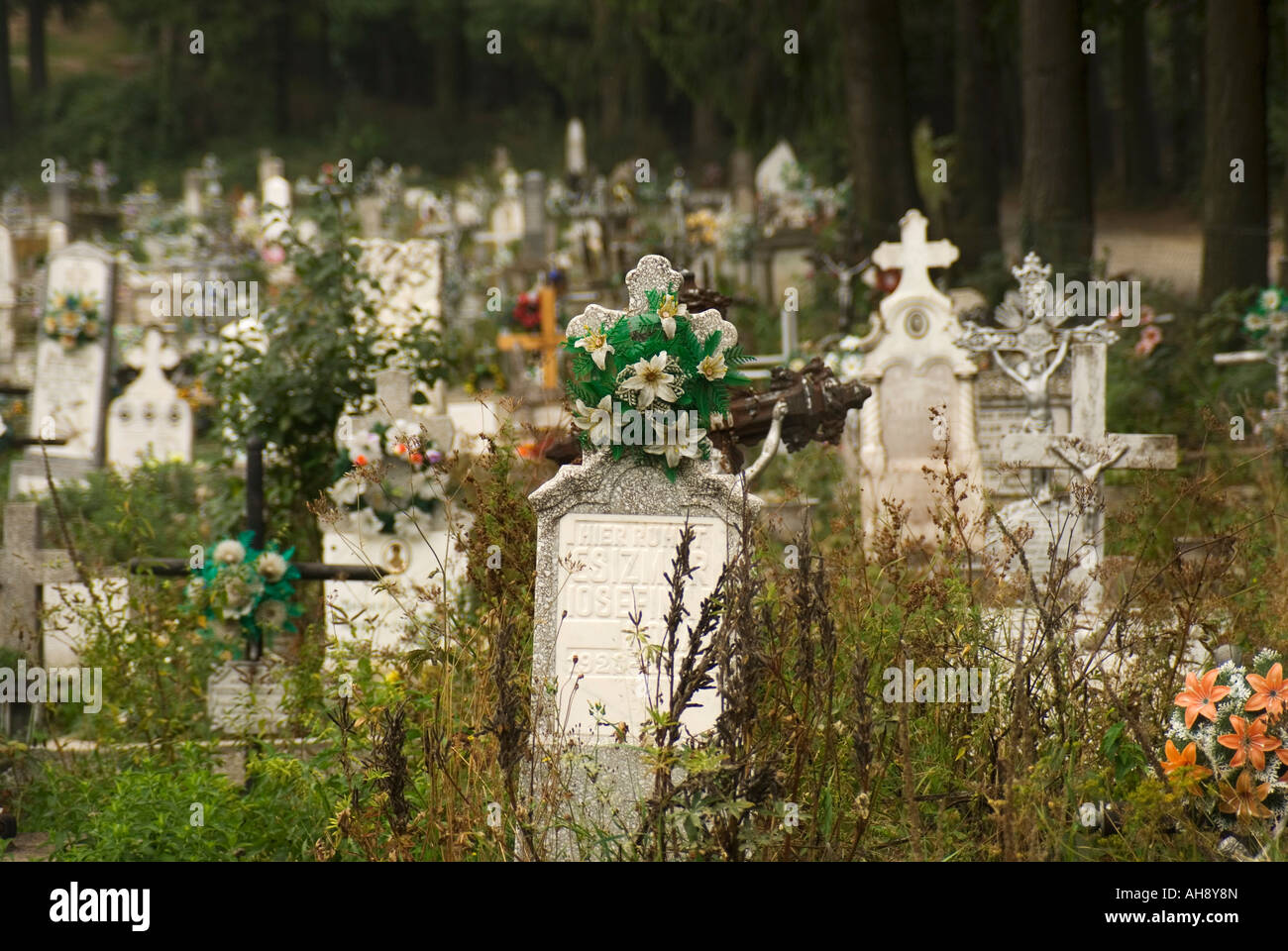 Anina hi-res stock photography and images - Alamy