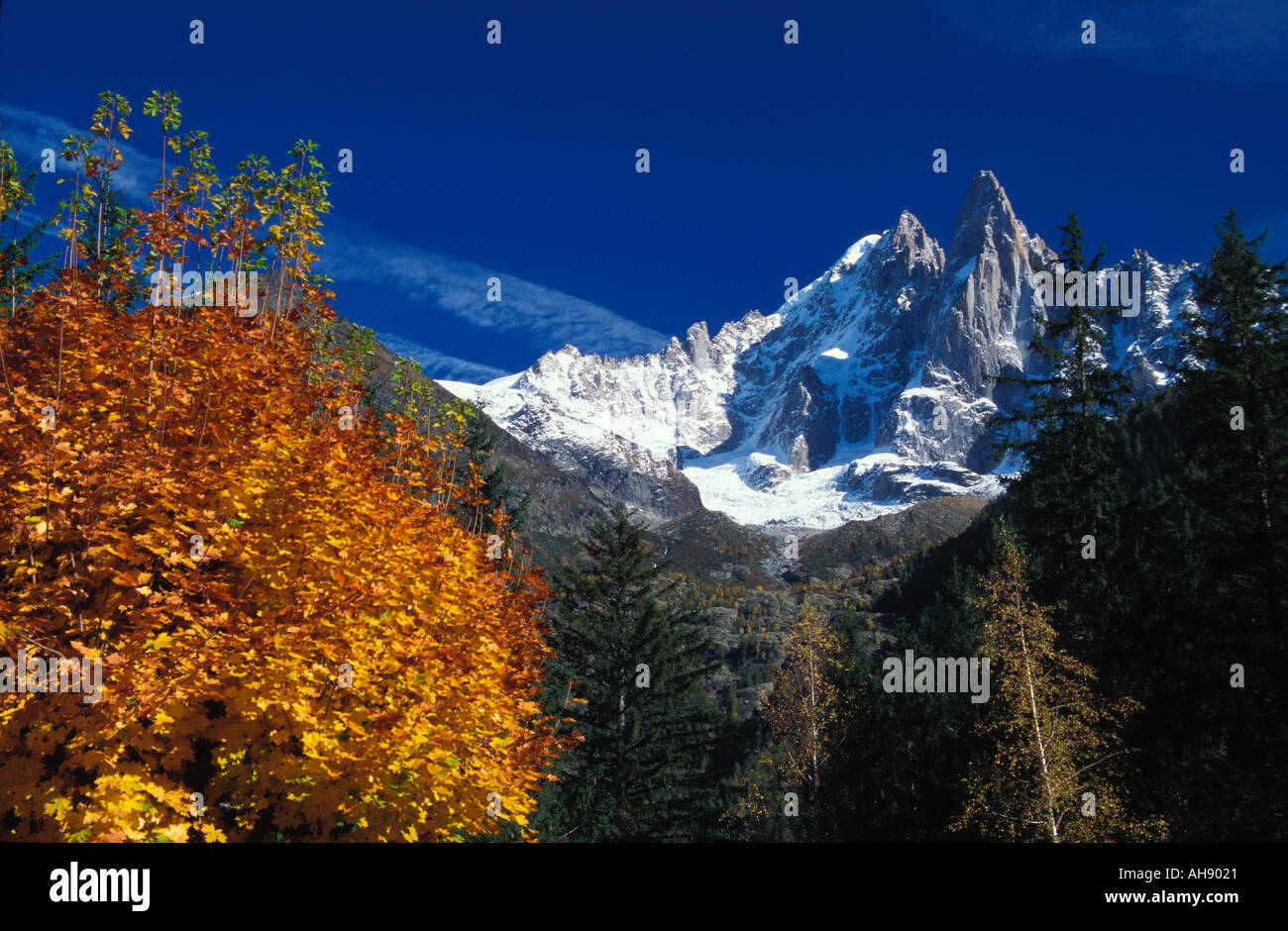 Autumn colours in the Chamonix Valley France Stock Photo - Alamy