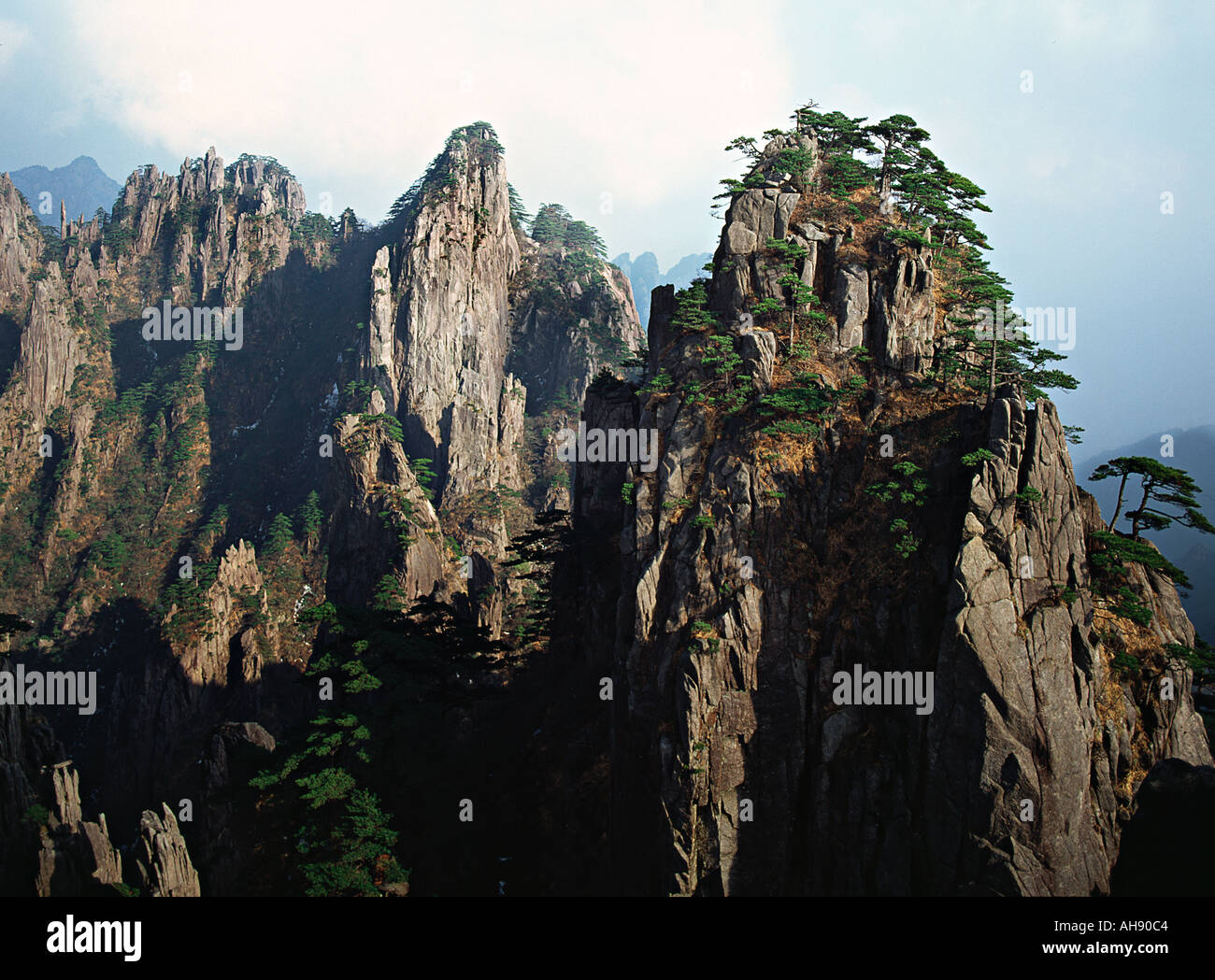 I just finished this carved "ibigawa" rock planting with shimpaku ...