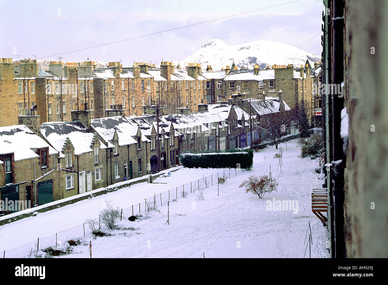 Edinburgh tenements in snow Stock Photo - Alamy