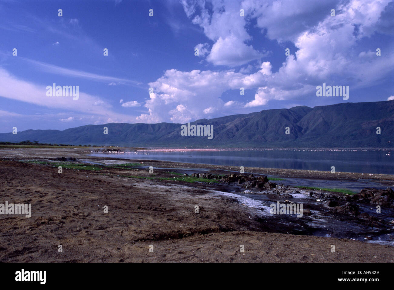 Lake Bogoria Kenya Stock Photo - Alamy