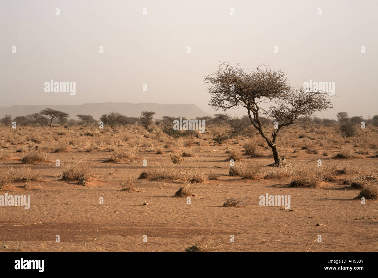 Nubian desert in northern Sudan Stock Photo - Alamy