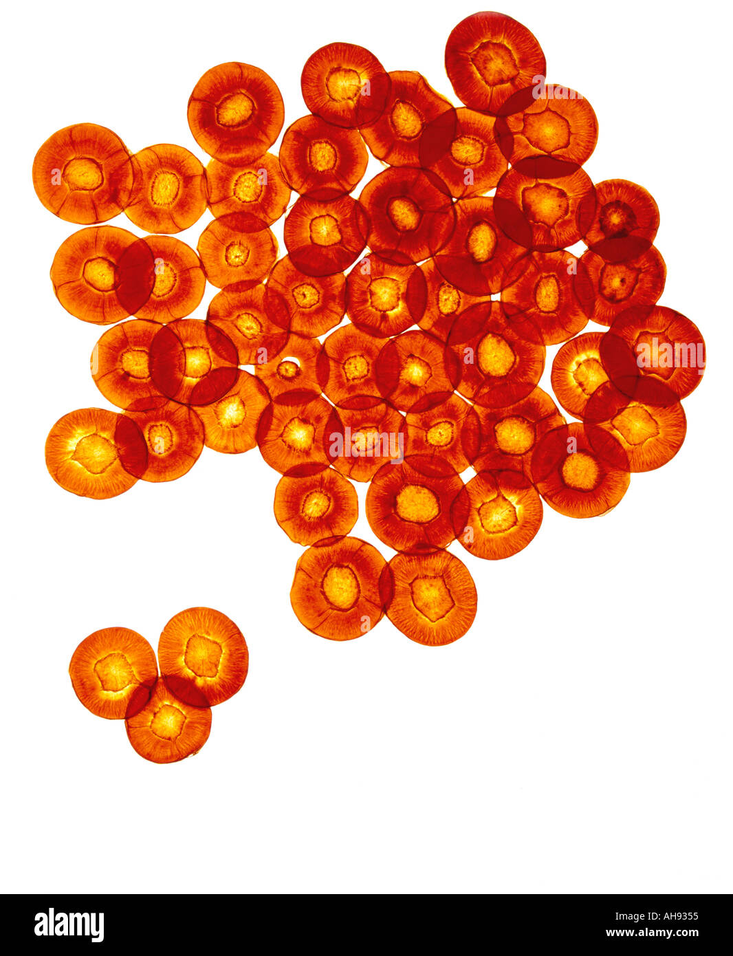 Carrot root multiple hi-res stock photography and images - Alamy