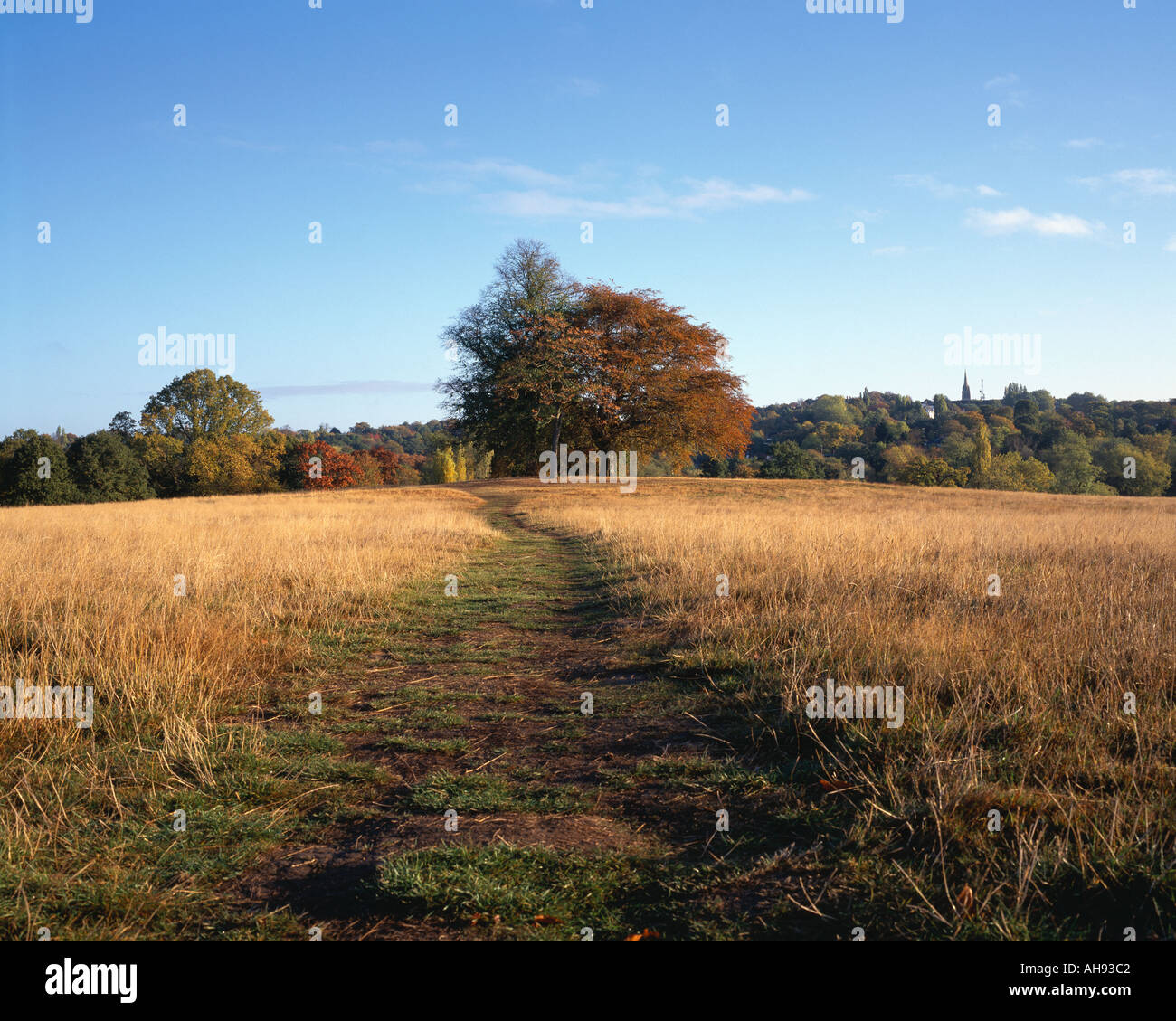 Heath england hi-res stock photography and images - Alamy
