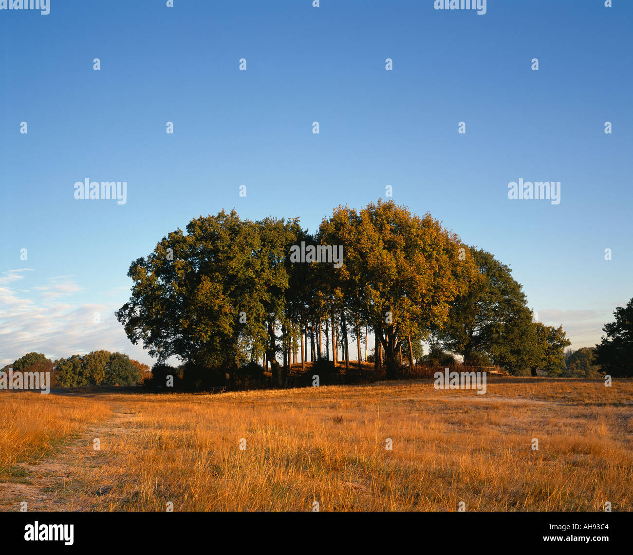 Queen boadiceas grave hi-res stock photography and images - Alamy
