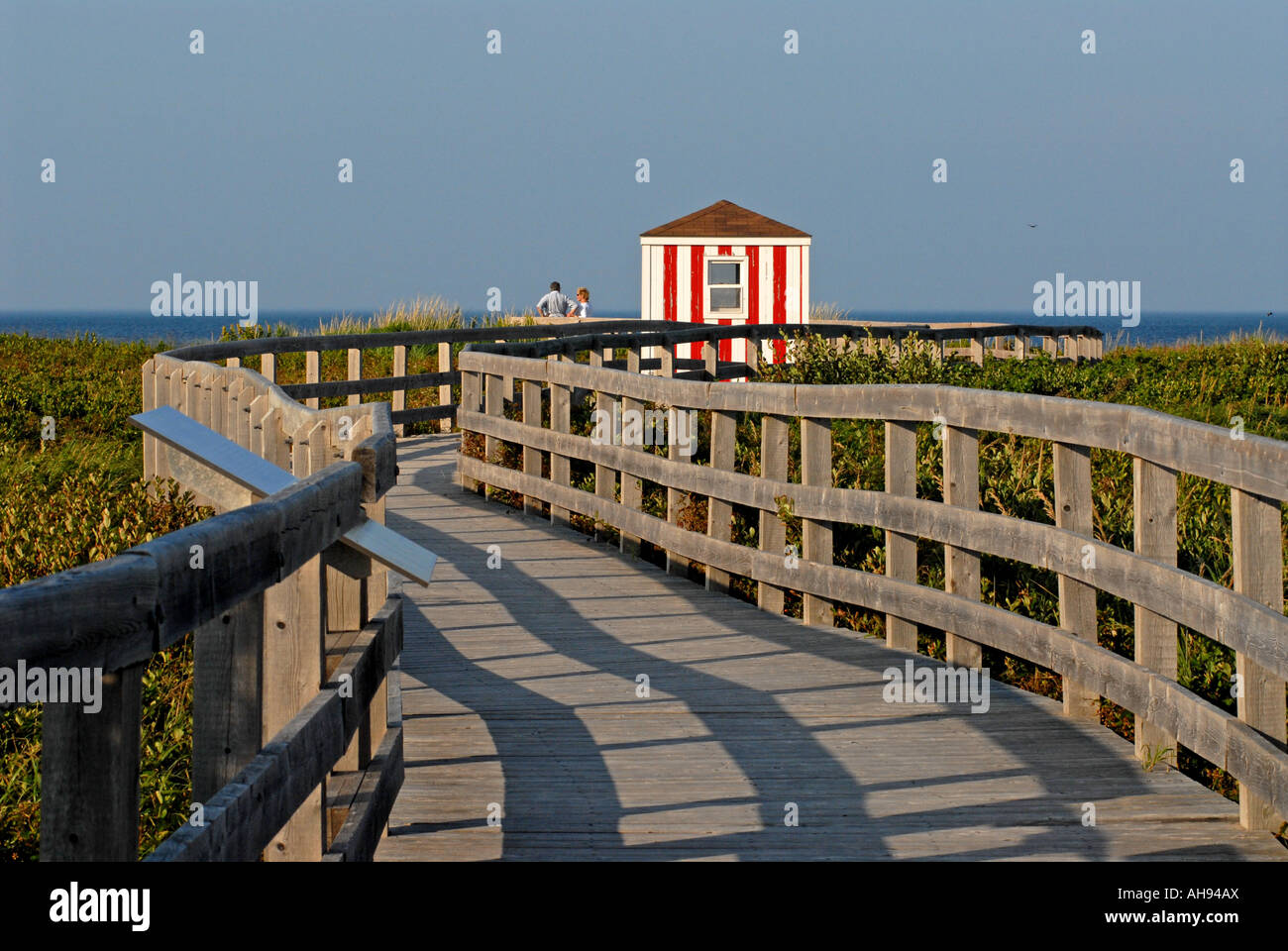 Trail leading to Greenwich beach in the National park of Prince Edward island Canada Stock Photo ...