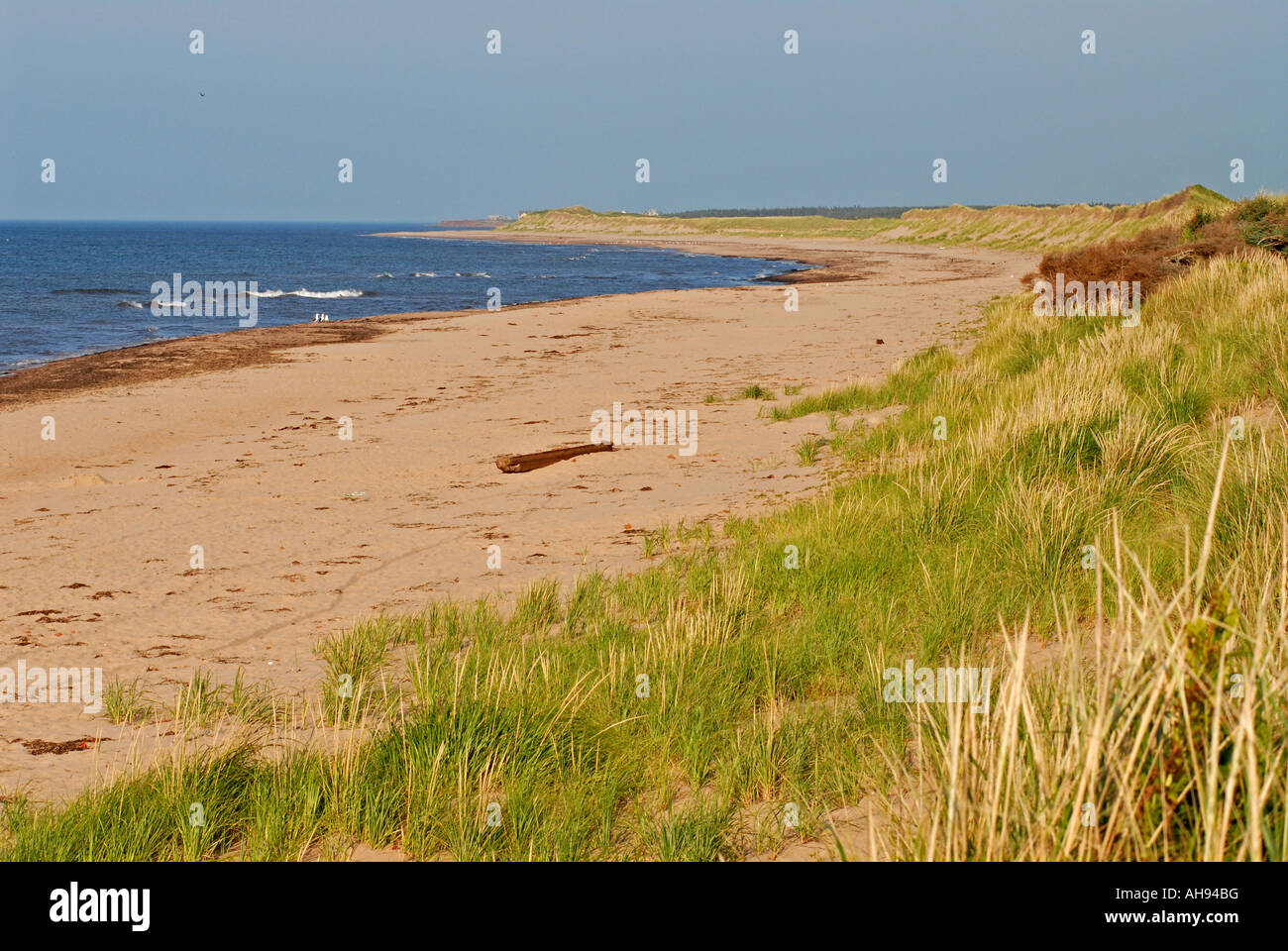 Greenwich beach in the National park of Prince Edward island Canada Stock Photo - Alamy