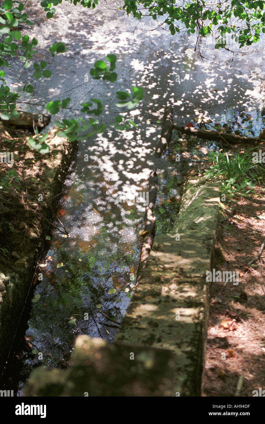 Light and shadow play on the surface of a pond Stock Photo - Alamy