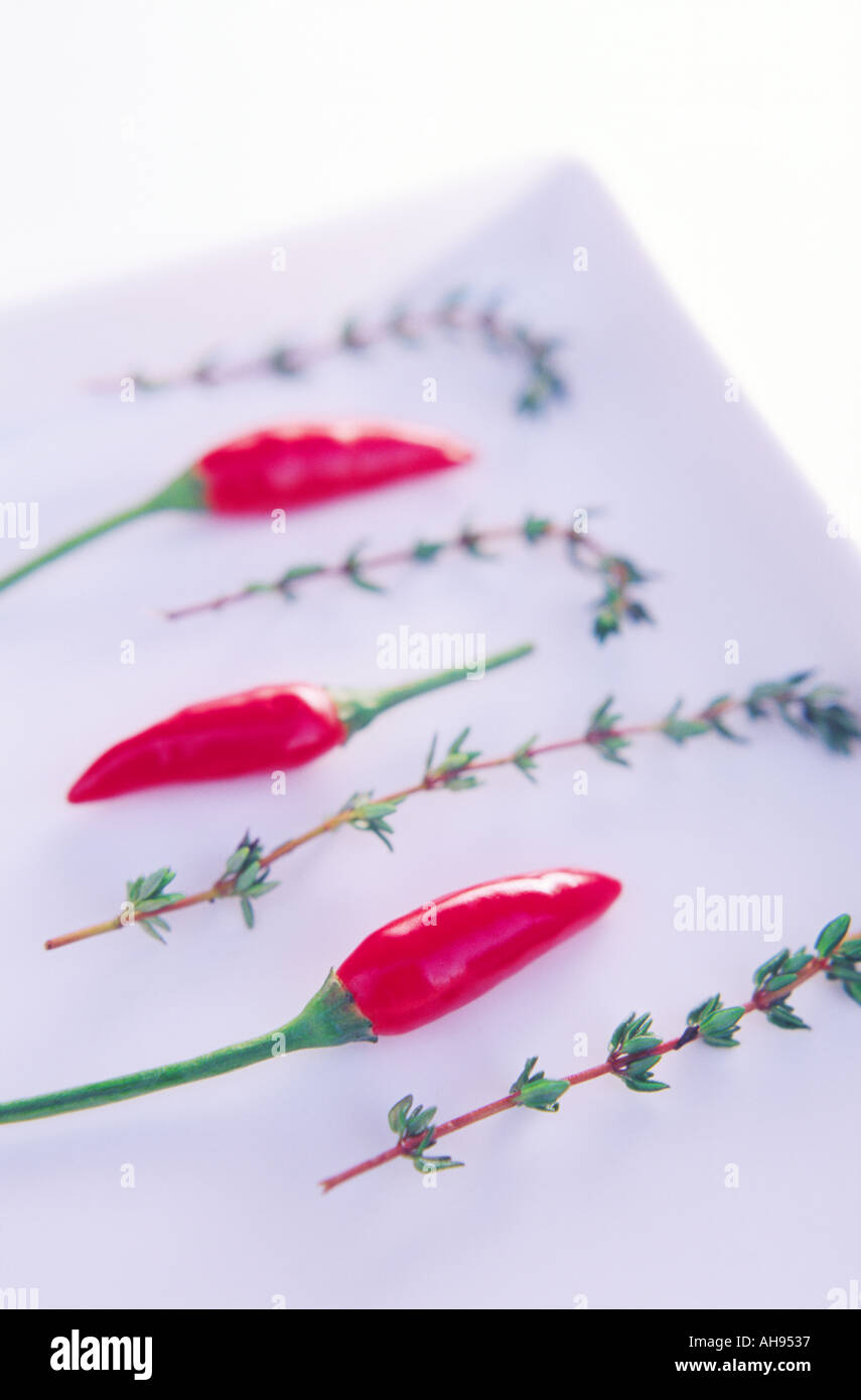 Rosemary and small fresh red hot chilly peppers laid out on white plate ...