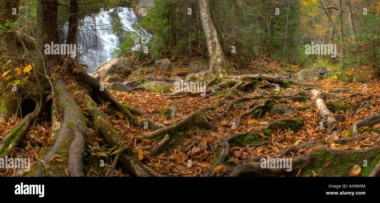 An autumn river bed in Quebec Stock Photo - Alamy