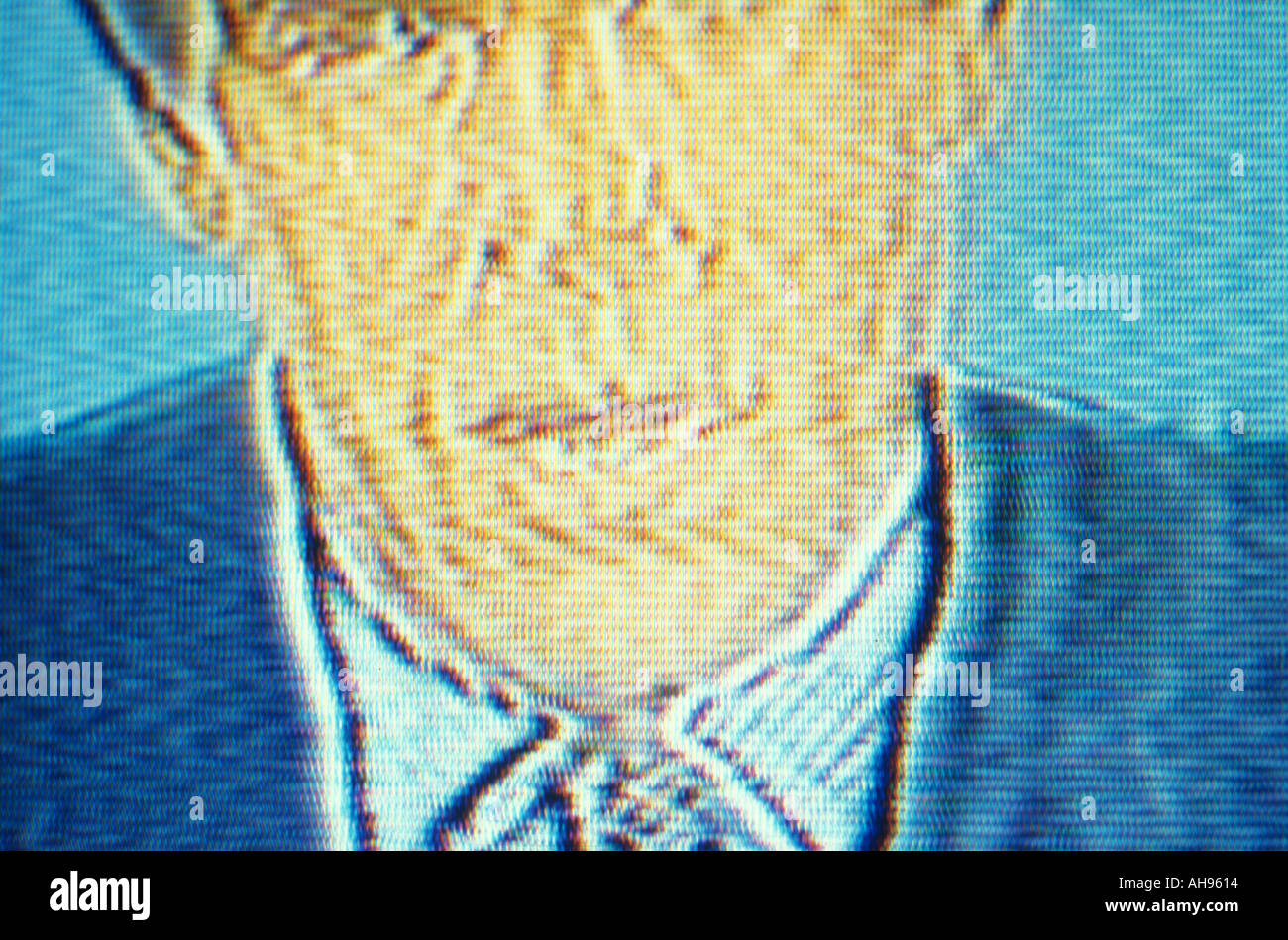 Peter Jennings news anchor ABC TV Stock Photo - Alamy