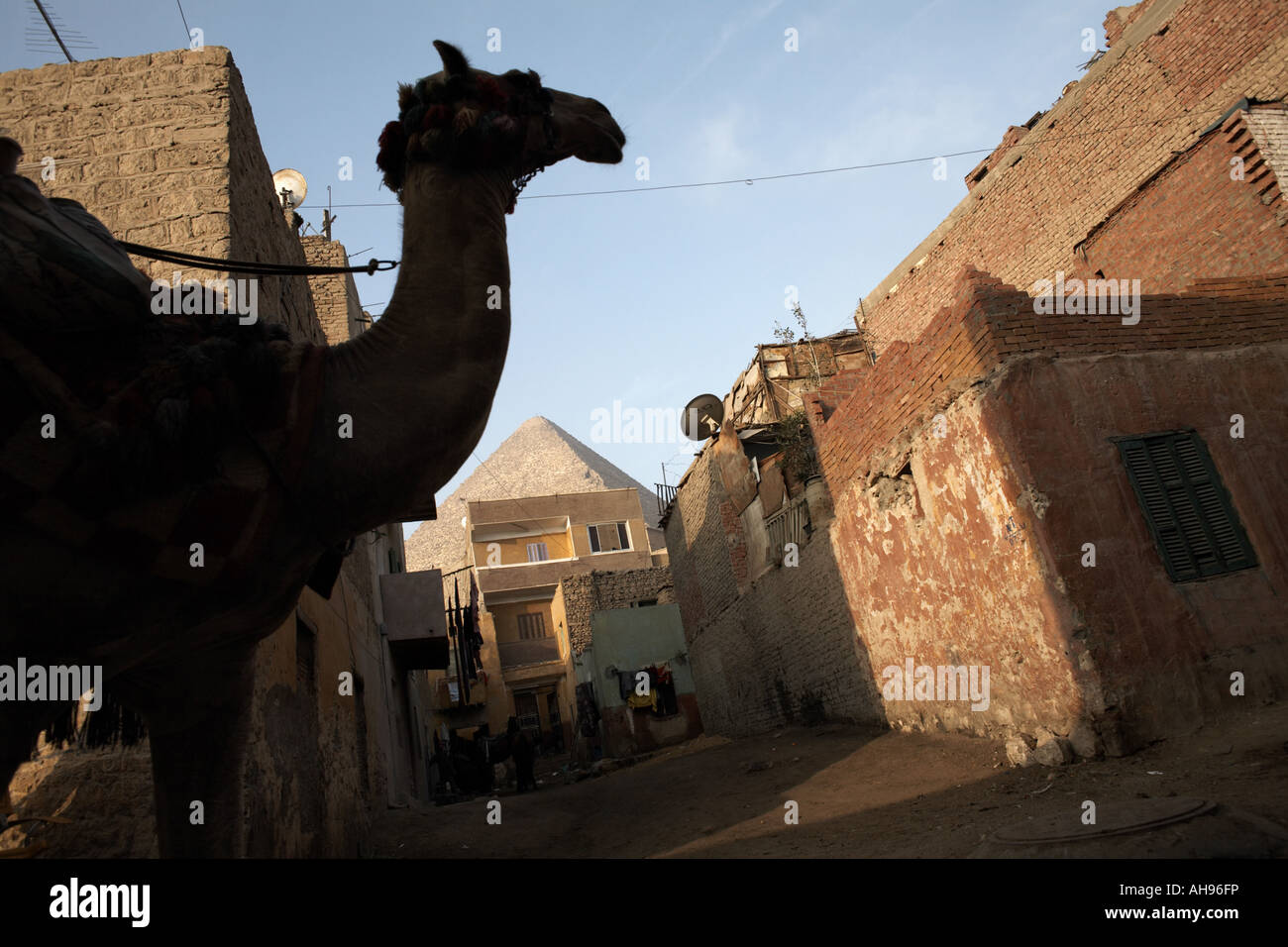 Sitting in the shadow of the Pyramids, the suburb of Giza, Cairo, Egypt ...