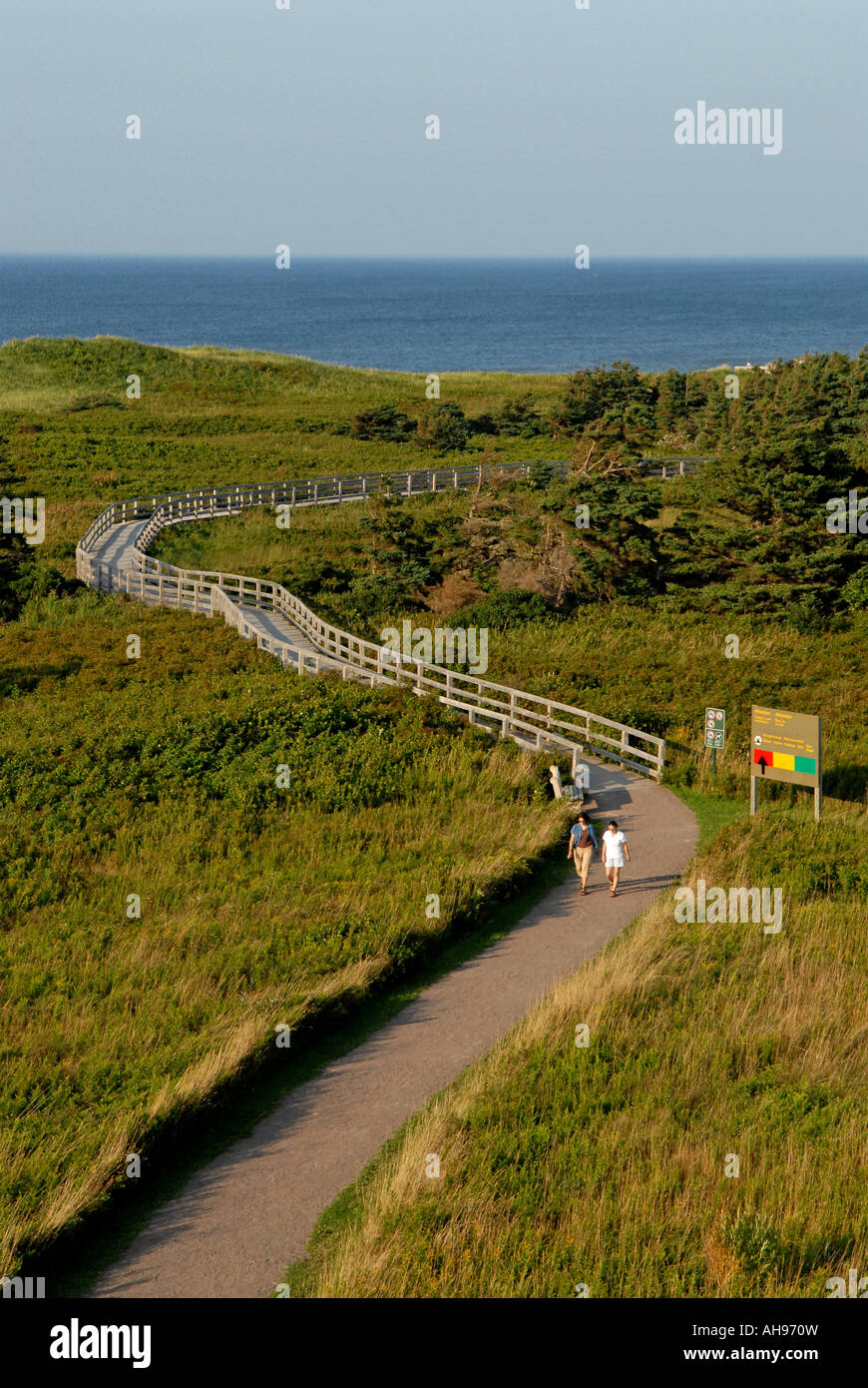 Trail leading to Greenwich beach in the National park of Prince Edward island Canada Stock Photo ...