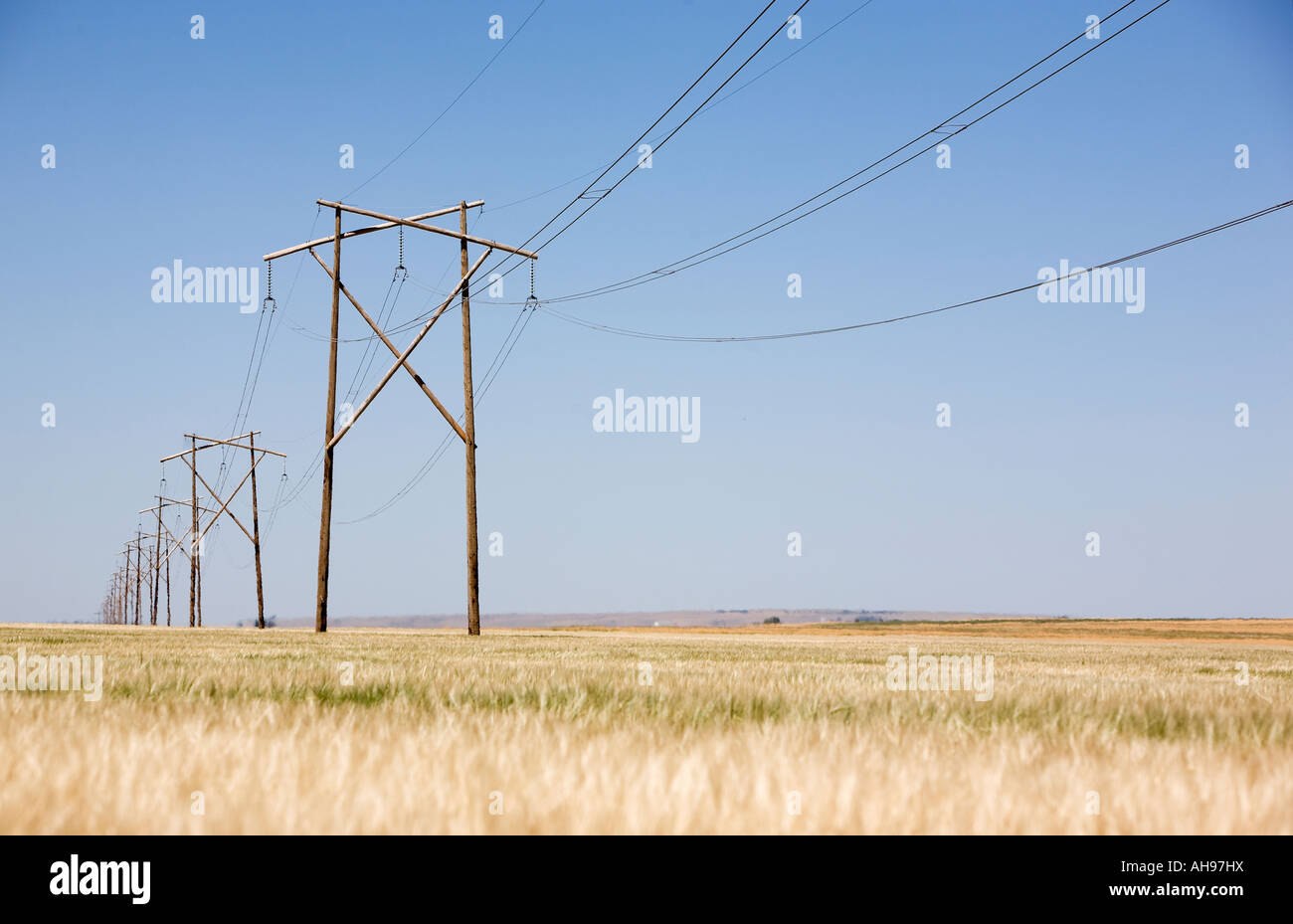 A high capacity prairie power line stretches off into the distance ...