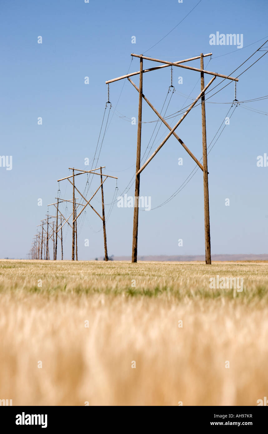 A high capacity prairie power line stretches off into the distance ...