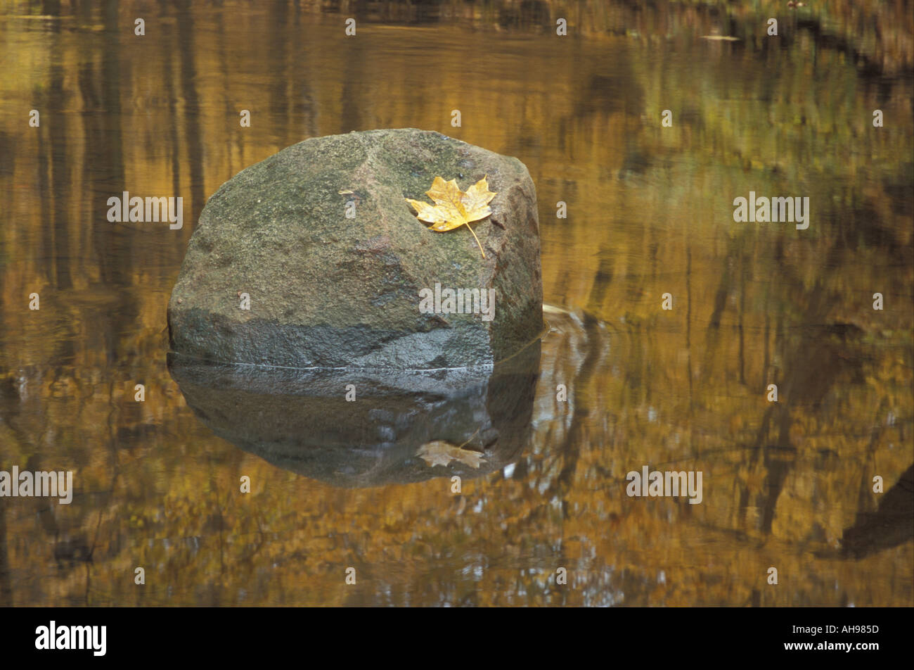 Ohio stream in autumn Stock Photo - Alamy