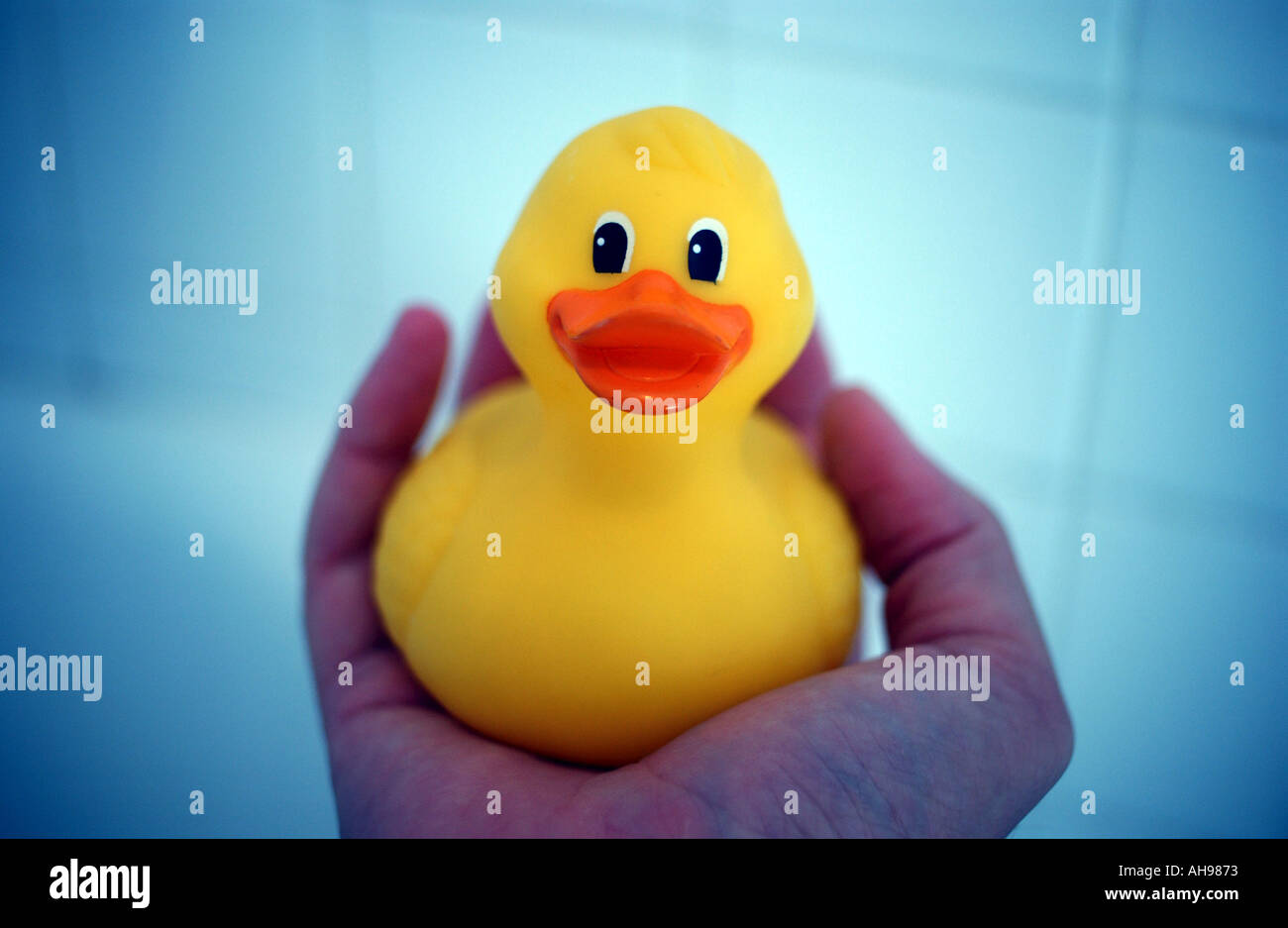 Hand holding yellow rubber duck toy Stock Photo - Alamy
