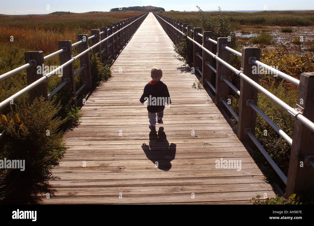Small boy child walking on pathway into future Life Stock Photo - Alamy